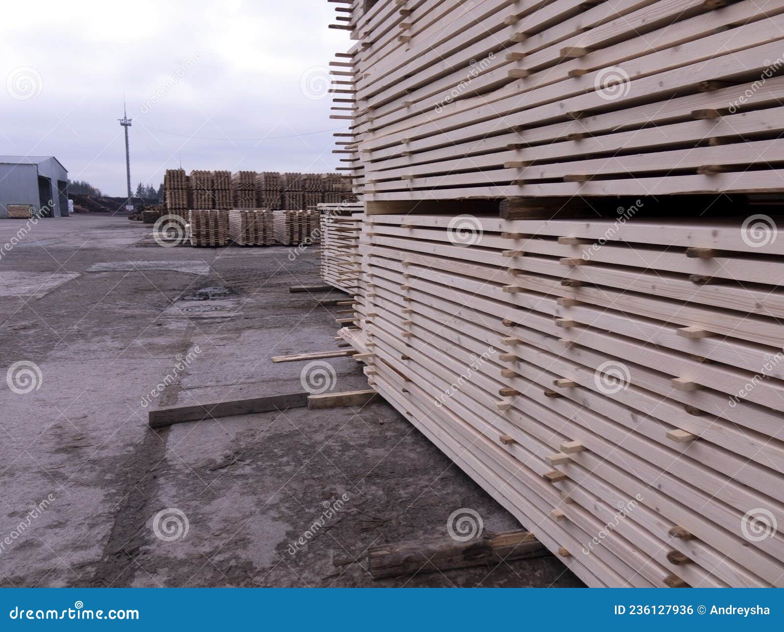 Lumber Warehouse. Wooden Boards in a Stack Stock Photo - Image of wood ...
