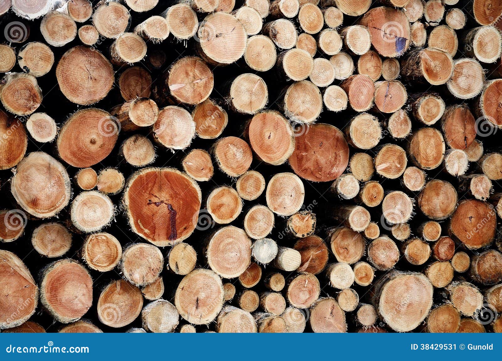 Wood Lumber Texture Royalty-Free Stock Photo | CartoonDealer.com #67165059