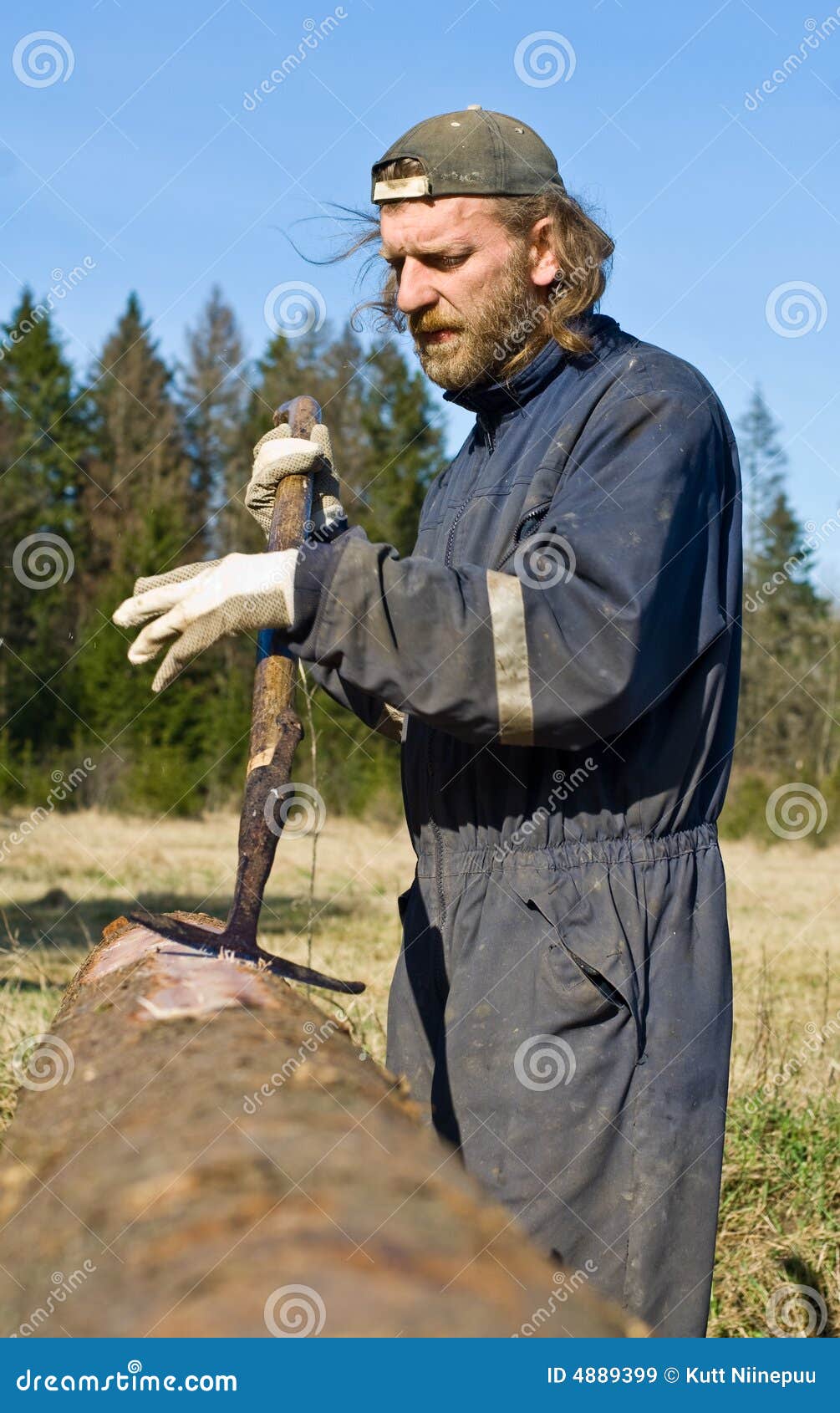 Lumber worker stock image. Image of adult, trunks, peel - 4889399