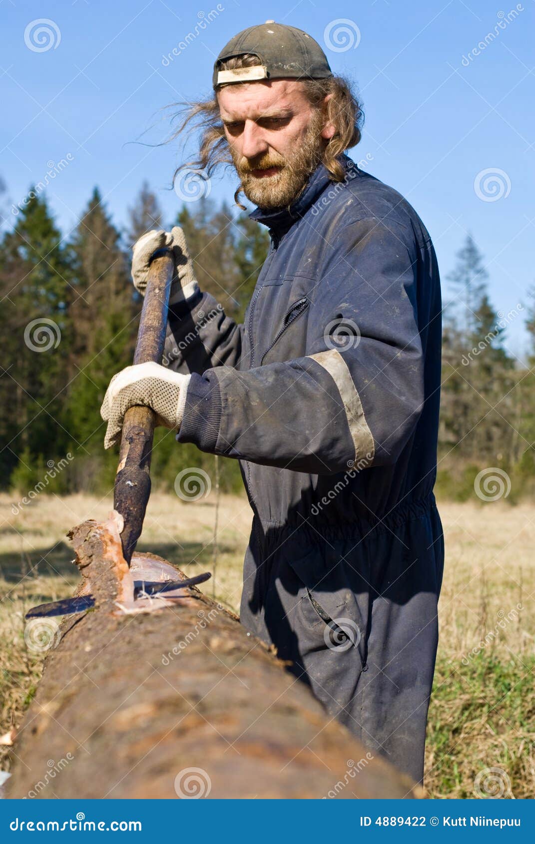 Lumber worker peeling bark stock photo. Image of debarking - 4889422