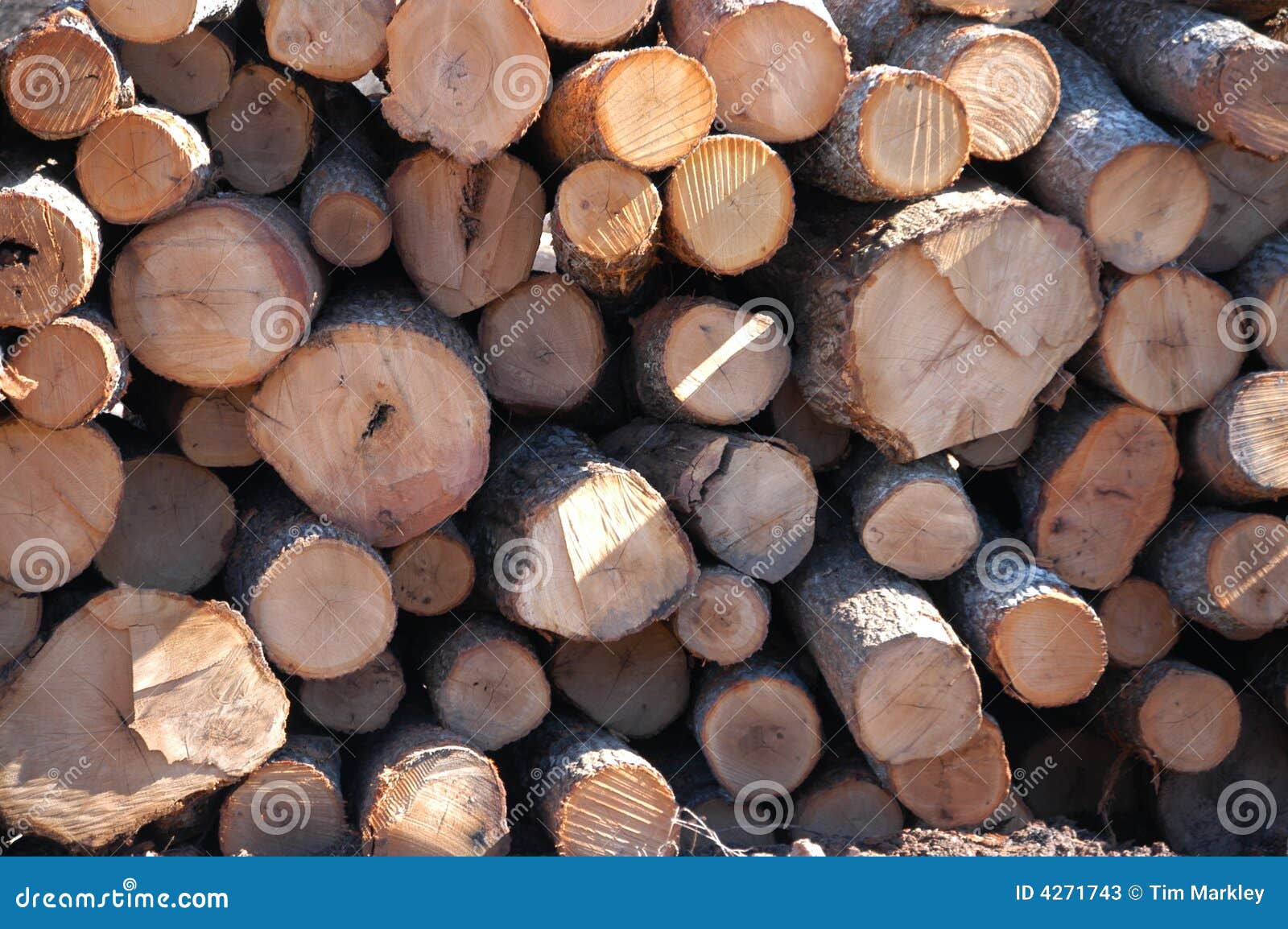 Lumber yard stock image. Image of wood, round, mill, brown - 4271743