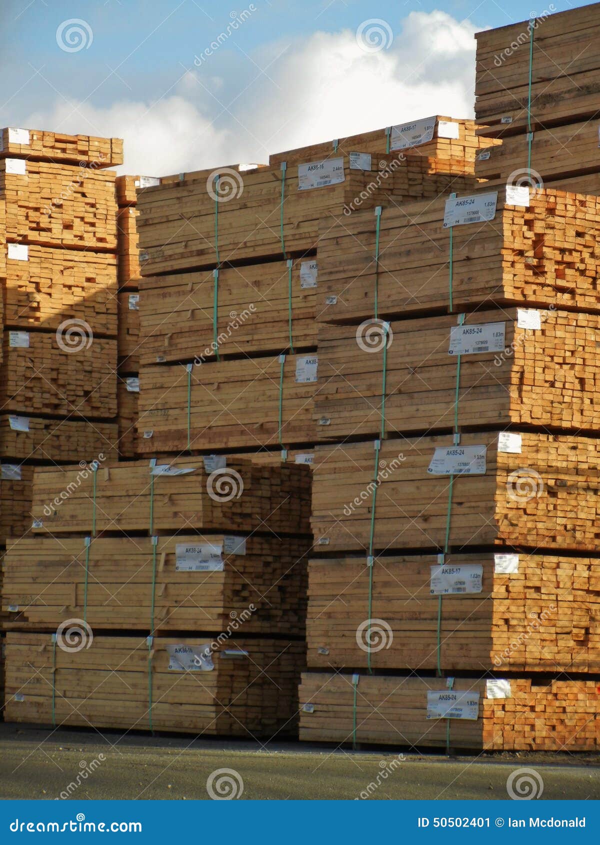 Lumber Yard editorial photo. Image of lumber, sawmill - 50502401