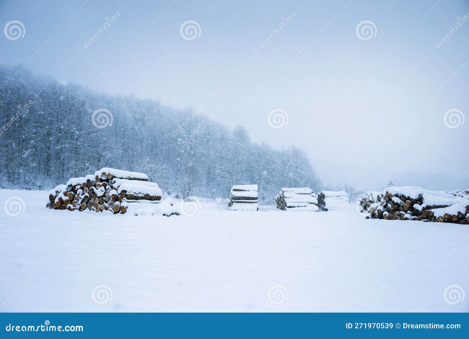 Lumber yard stock image. Image of mist, branch, winter - 271970539