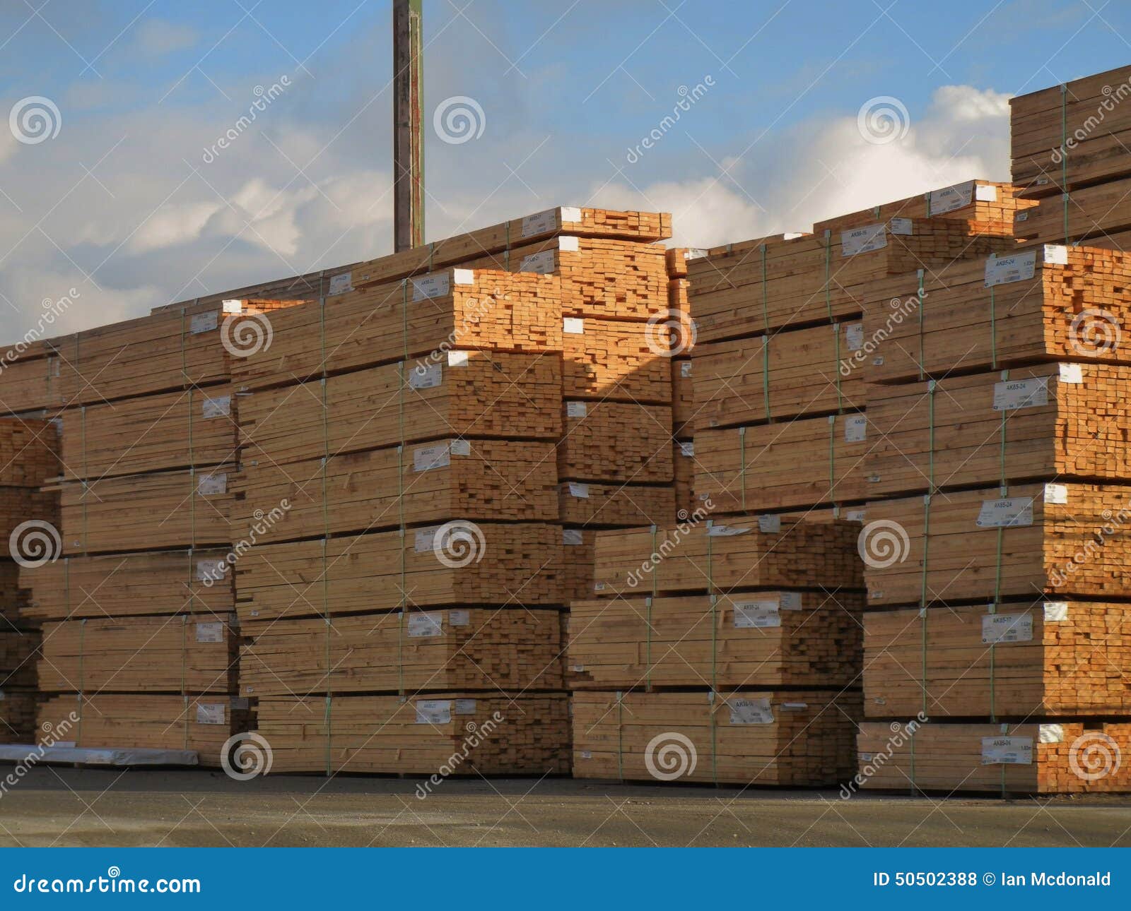 Lumber Yard editorial stock photo. Image of natural, industry - 50502388