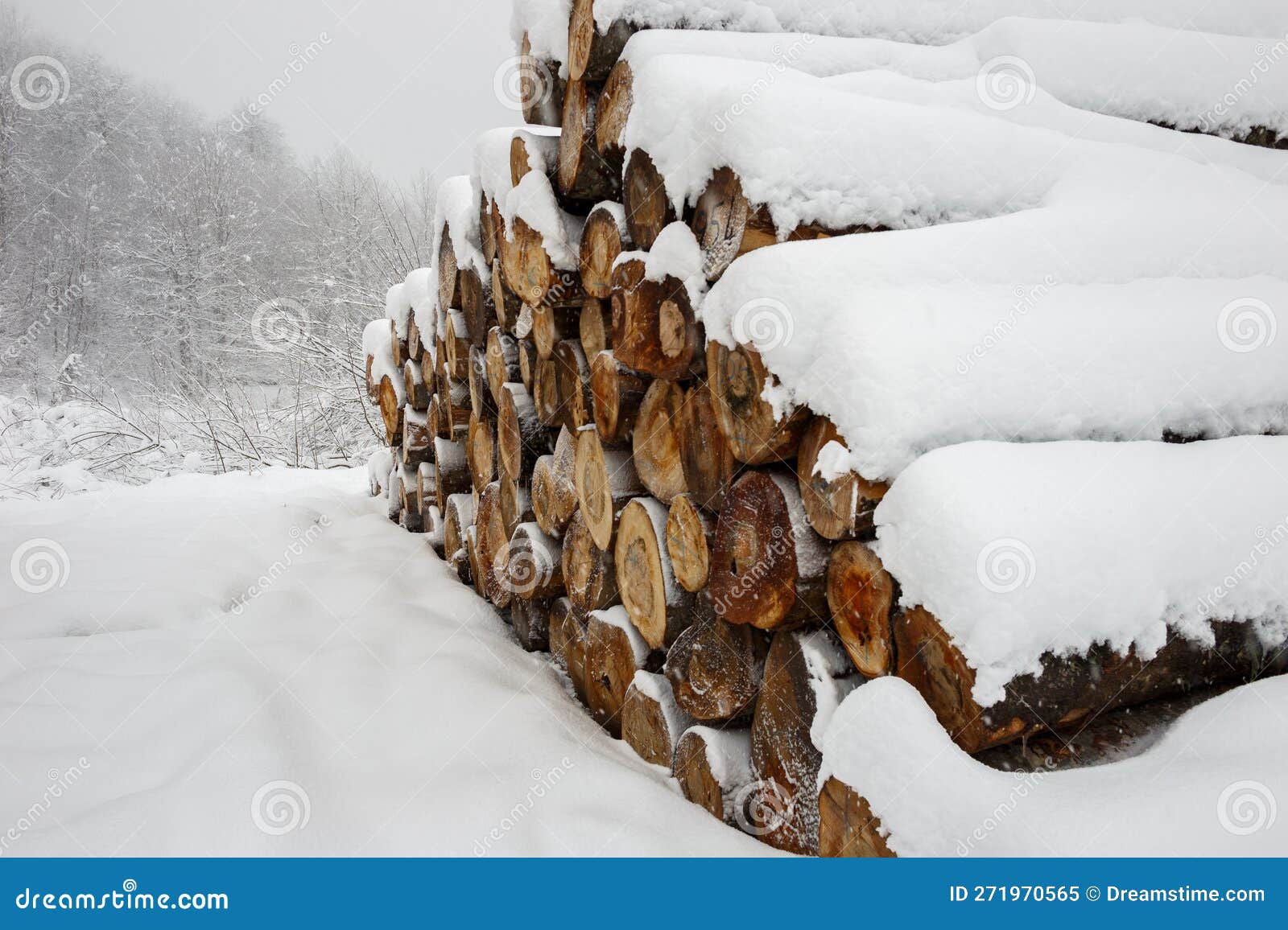 Lumber yard stock image. Image of branch, freezing, twig - 271970565
