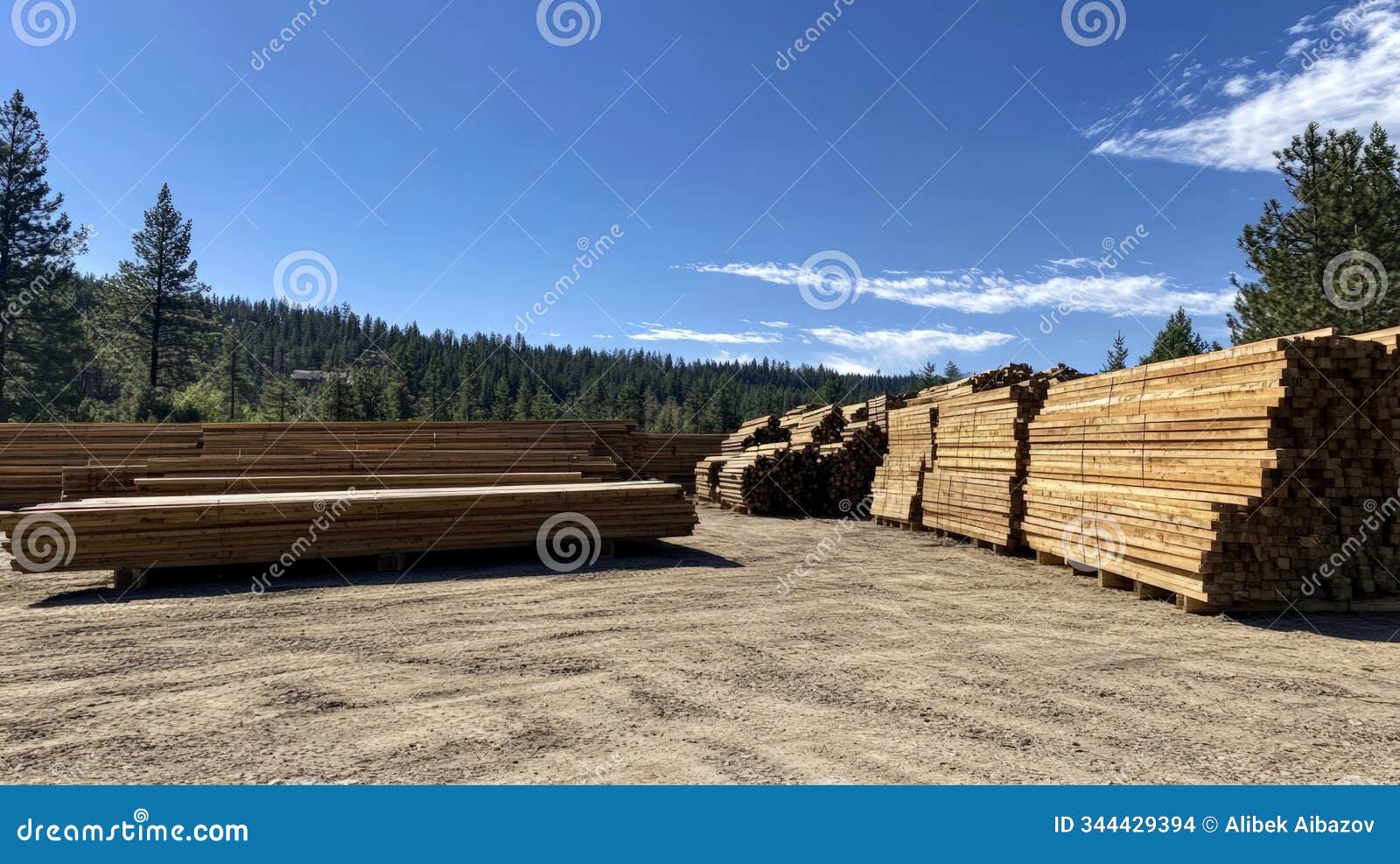 Lumber Yard Under Blue Sky with Stacked Timber and Pine Forest in the ...