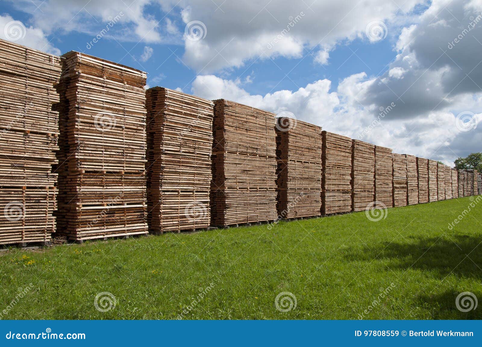 Lumber yard, wooden boards stock image. Image of carpentry - 97808559