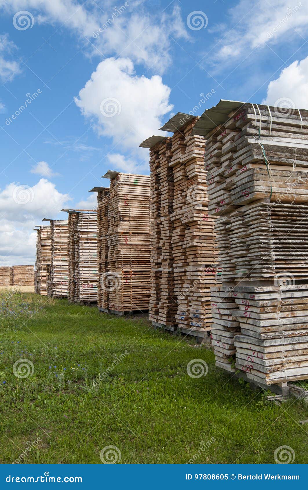 Lumber yard, wooden boards stock image. Image of factory - 97808605