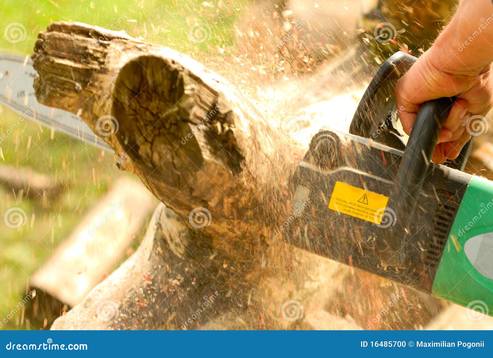 Lumbering stock photo. Image of firewood, felled, flying - 16485700