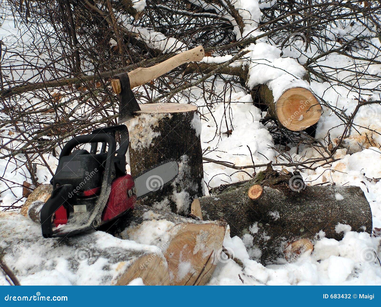 Lumbering stock photo. Image of wilderness, wood, chainsaw - 683432