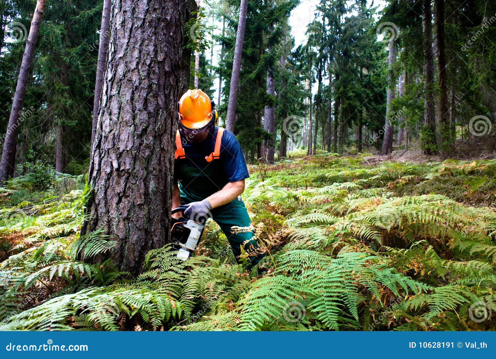 Lumberjack stock image. Image of woods, adults, working - 10628191