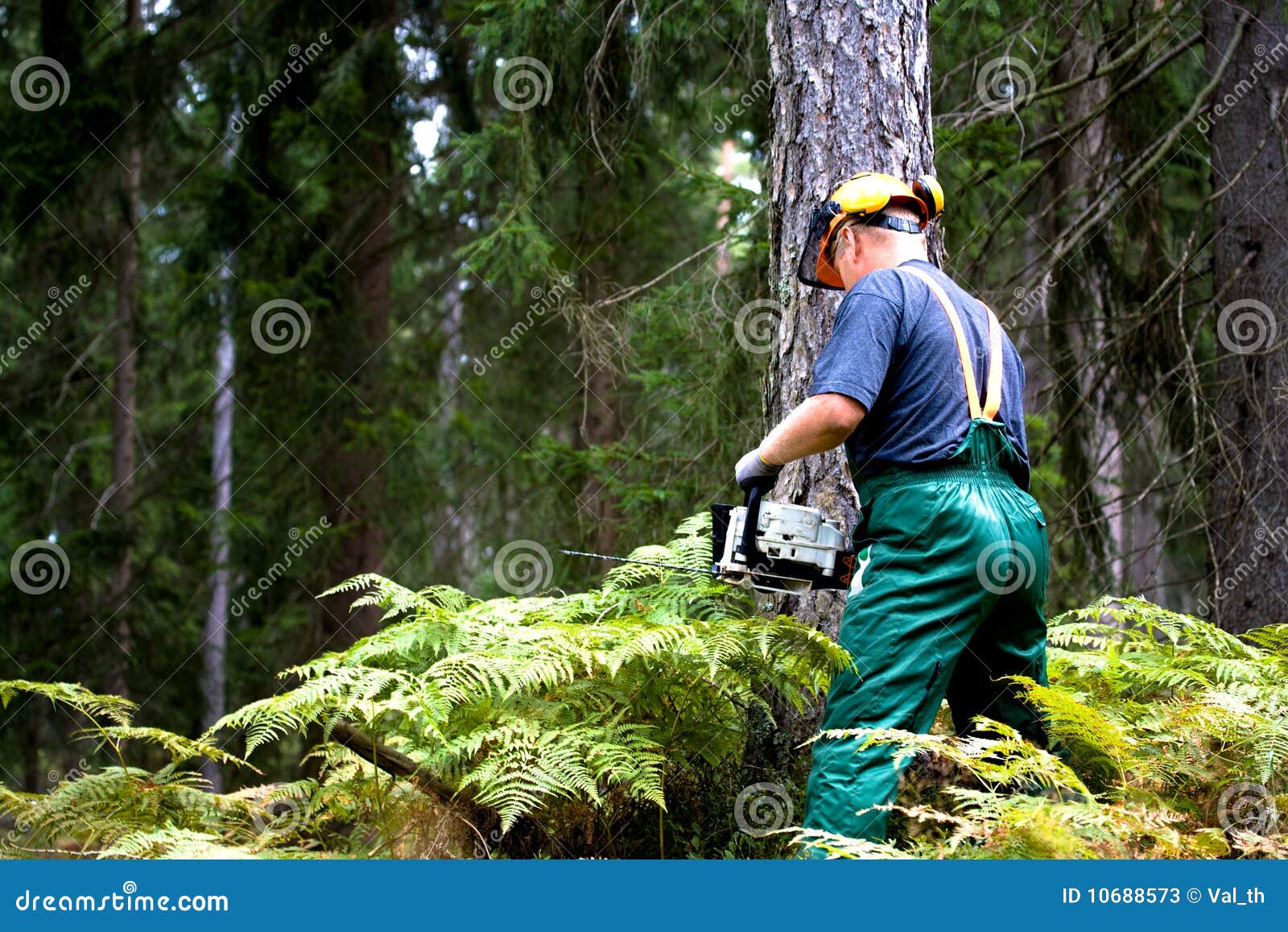 Lumberjack stock image. Image of equipment, outdoors - 10688573