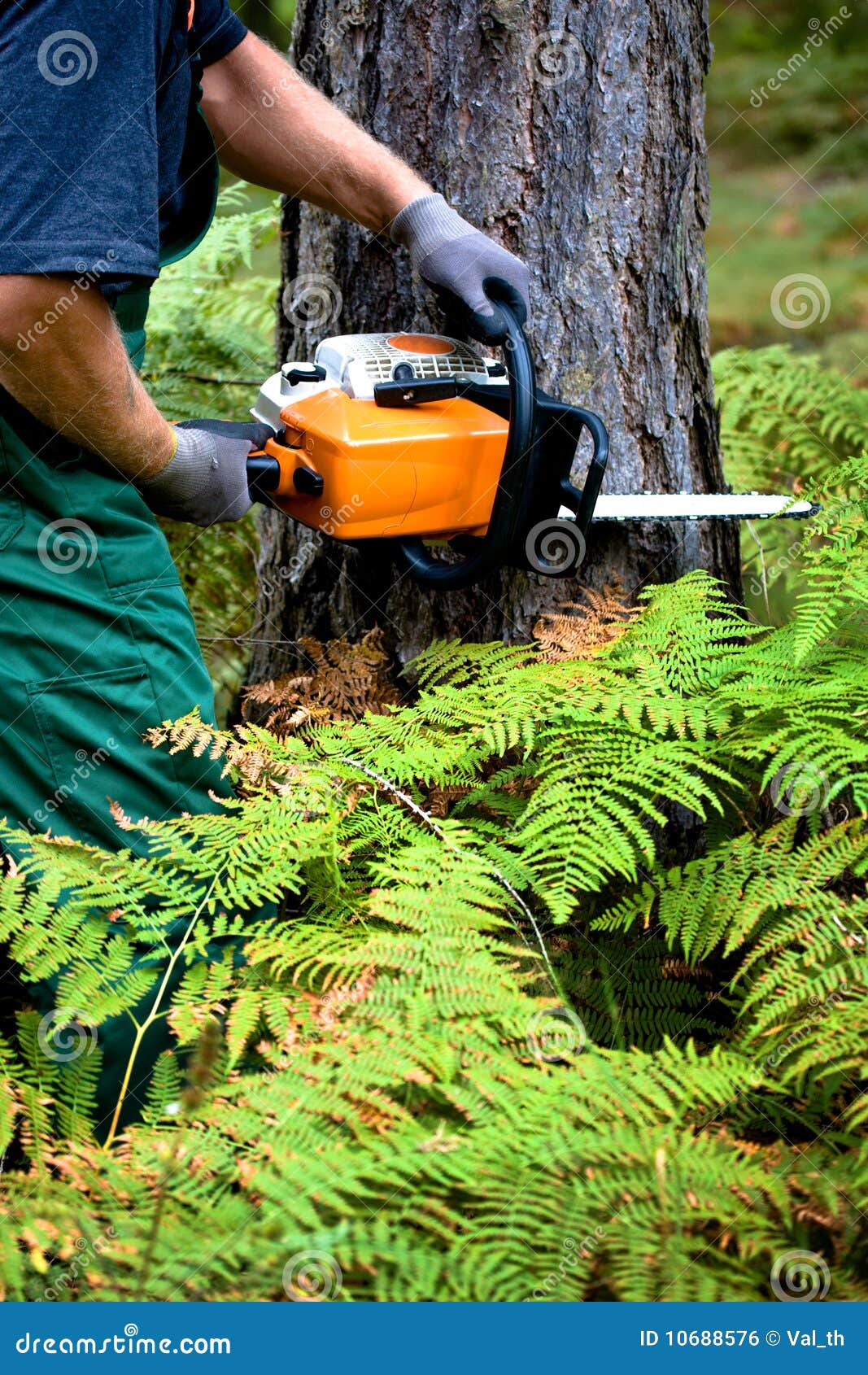 Lumberjack stock photo. Image of safety, male, working - 10688576
