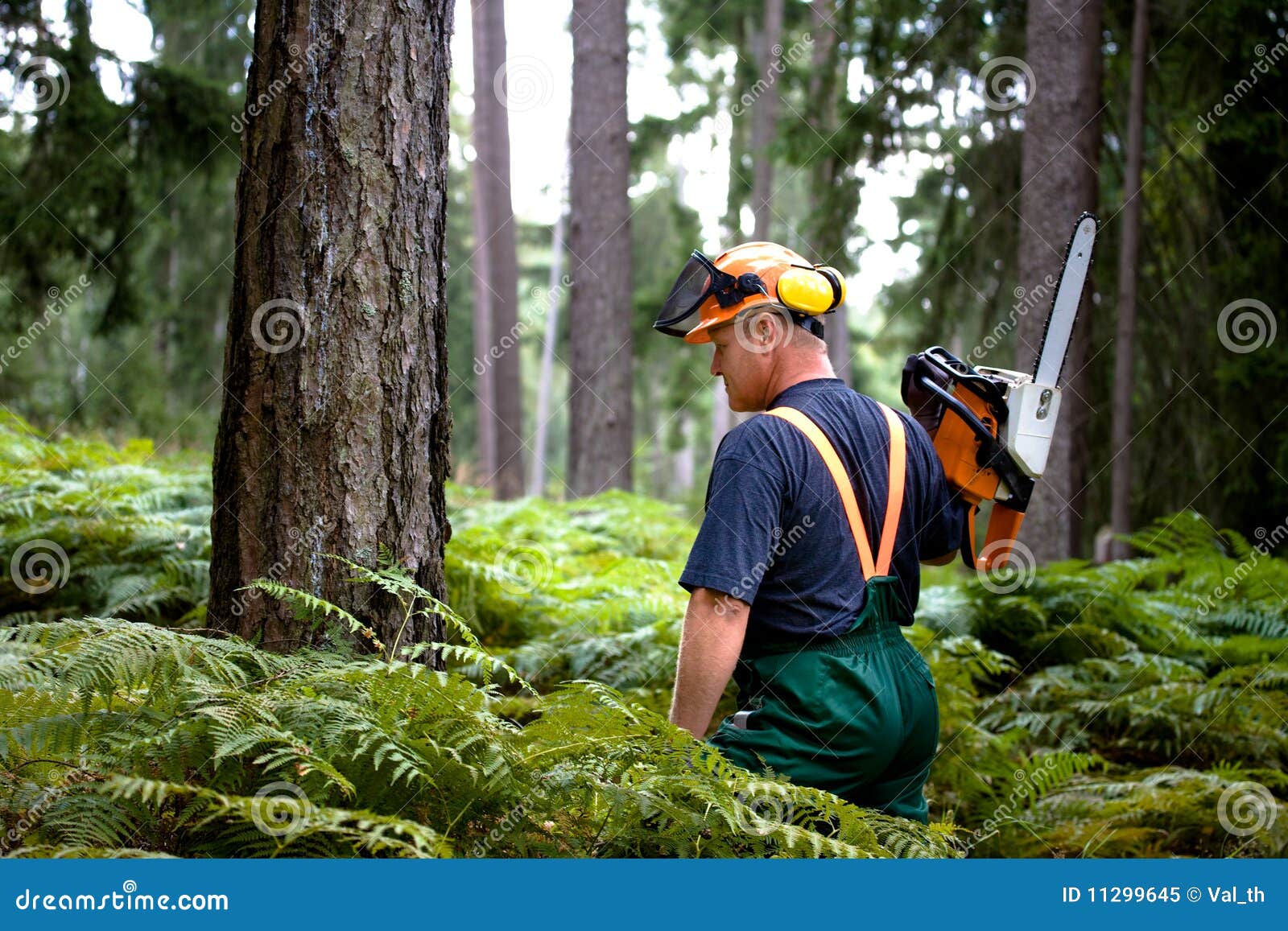 Lumberjack stock image. Image of outdoors, tool, glade - 11299645