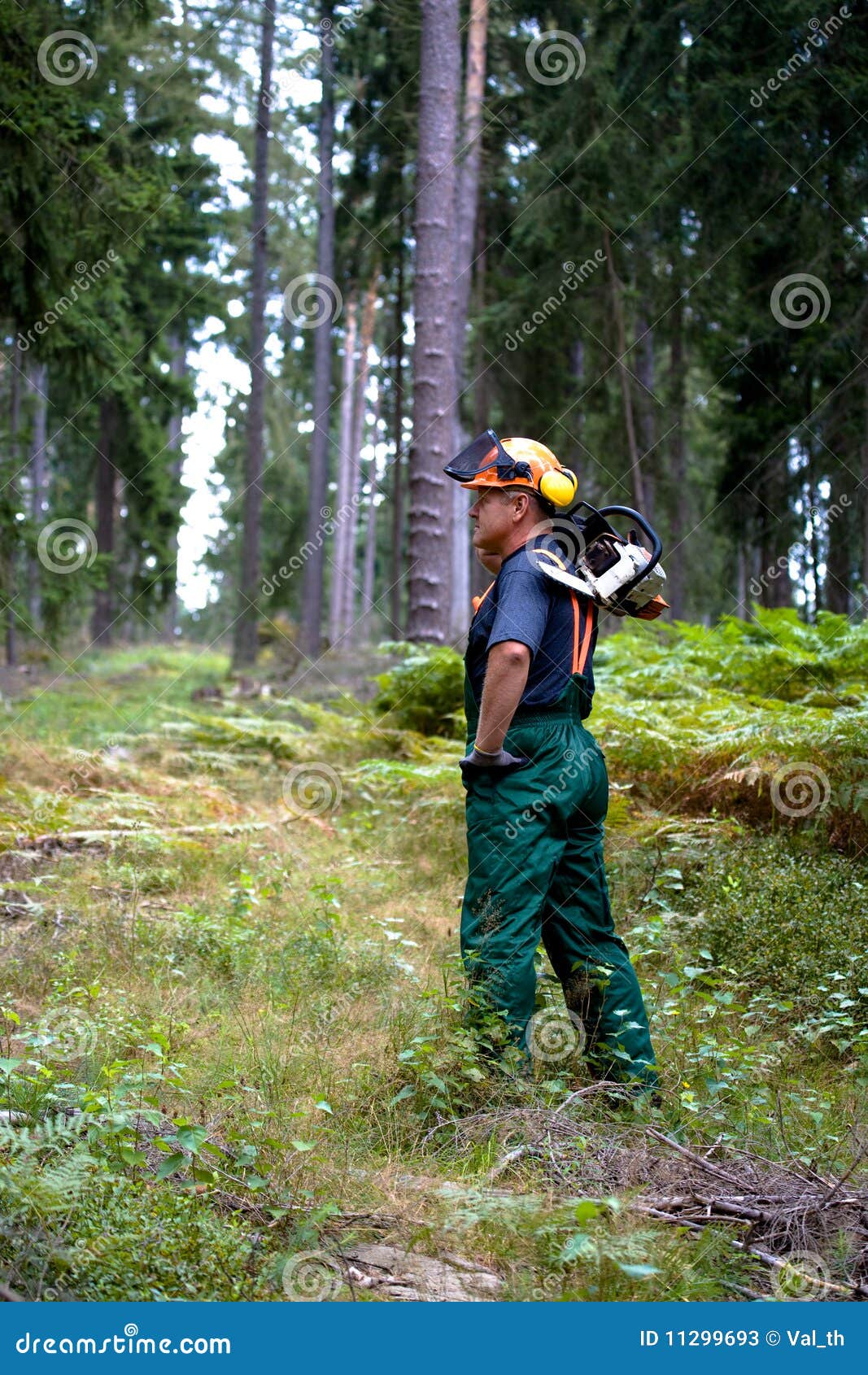 Lumberjack stock image. Image of timber, adults, woods - 11299693