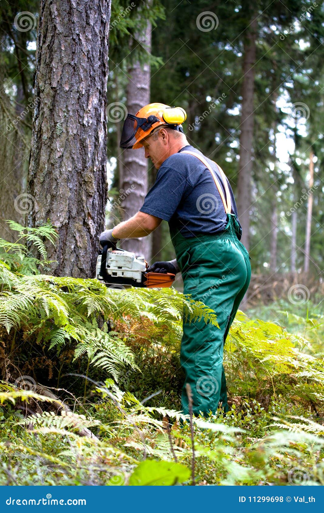 Lumberjack stock photo. Image of tool, chainsaw, cutting - 11299698