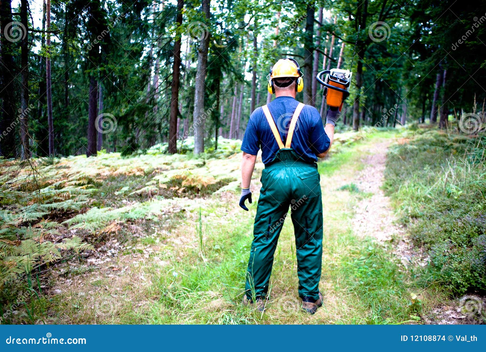 Lumberjack stock photo. Image of adults, logger, working - 12108874