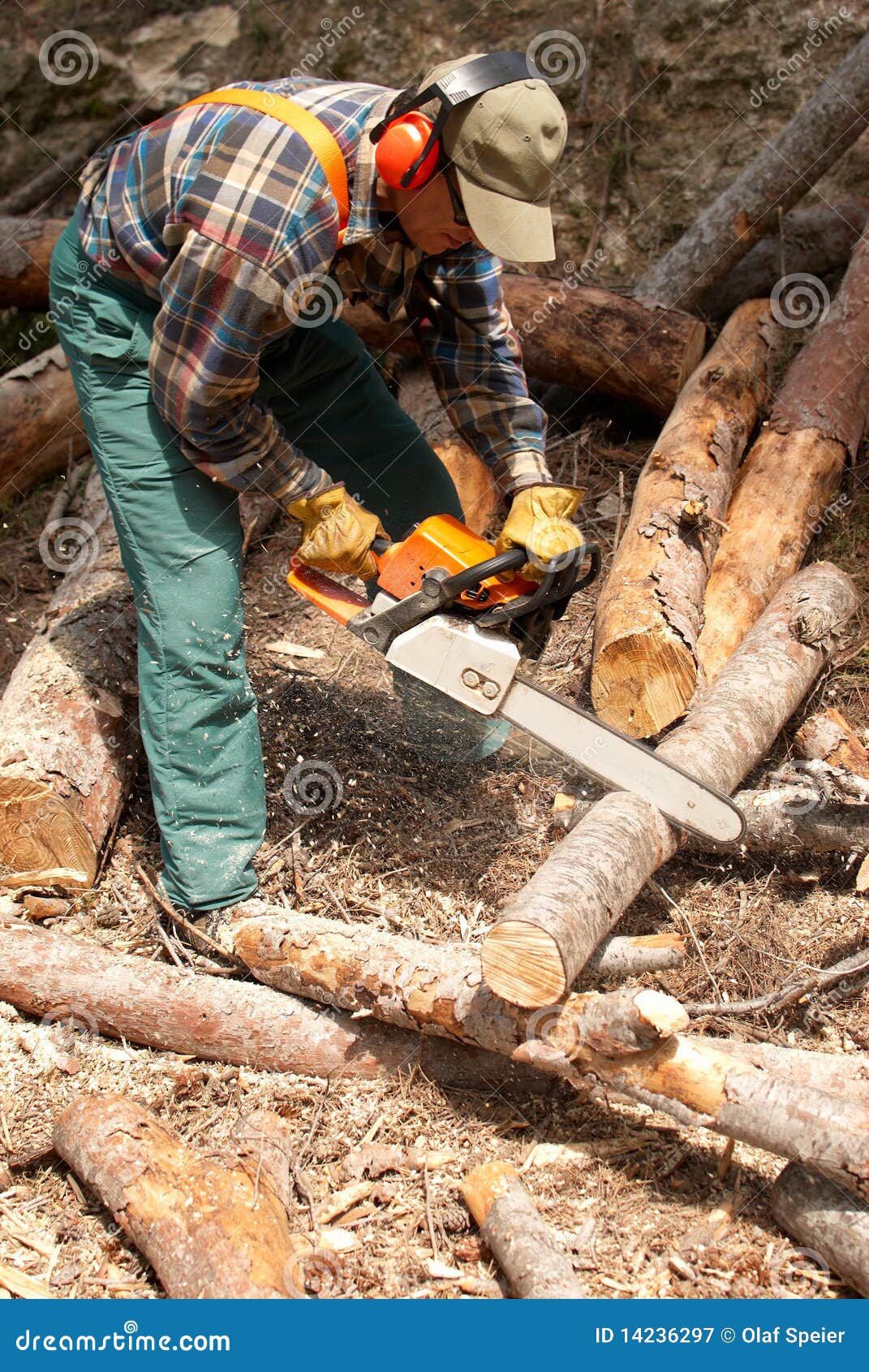 Lumberjack stock image. Image of tree, earplugs, timber - 14236297