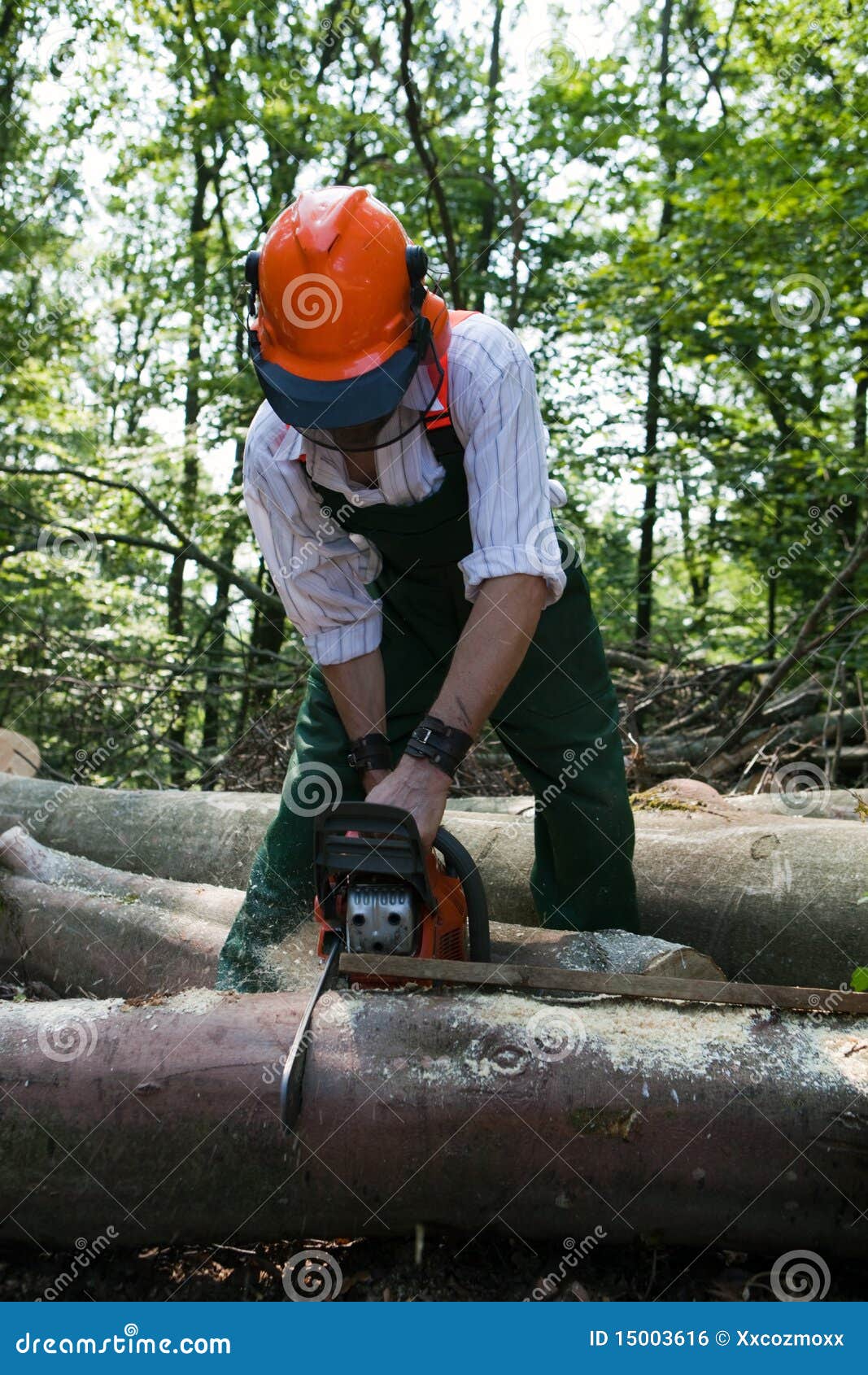 Lumberjack stock photo. Image of hard, individual, helmet - 15003616