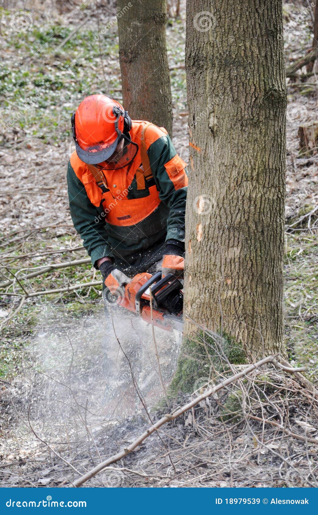 Lumberjack stock image. Image of lumberjack, working - 18979539