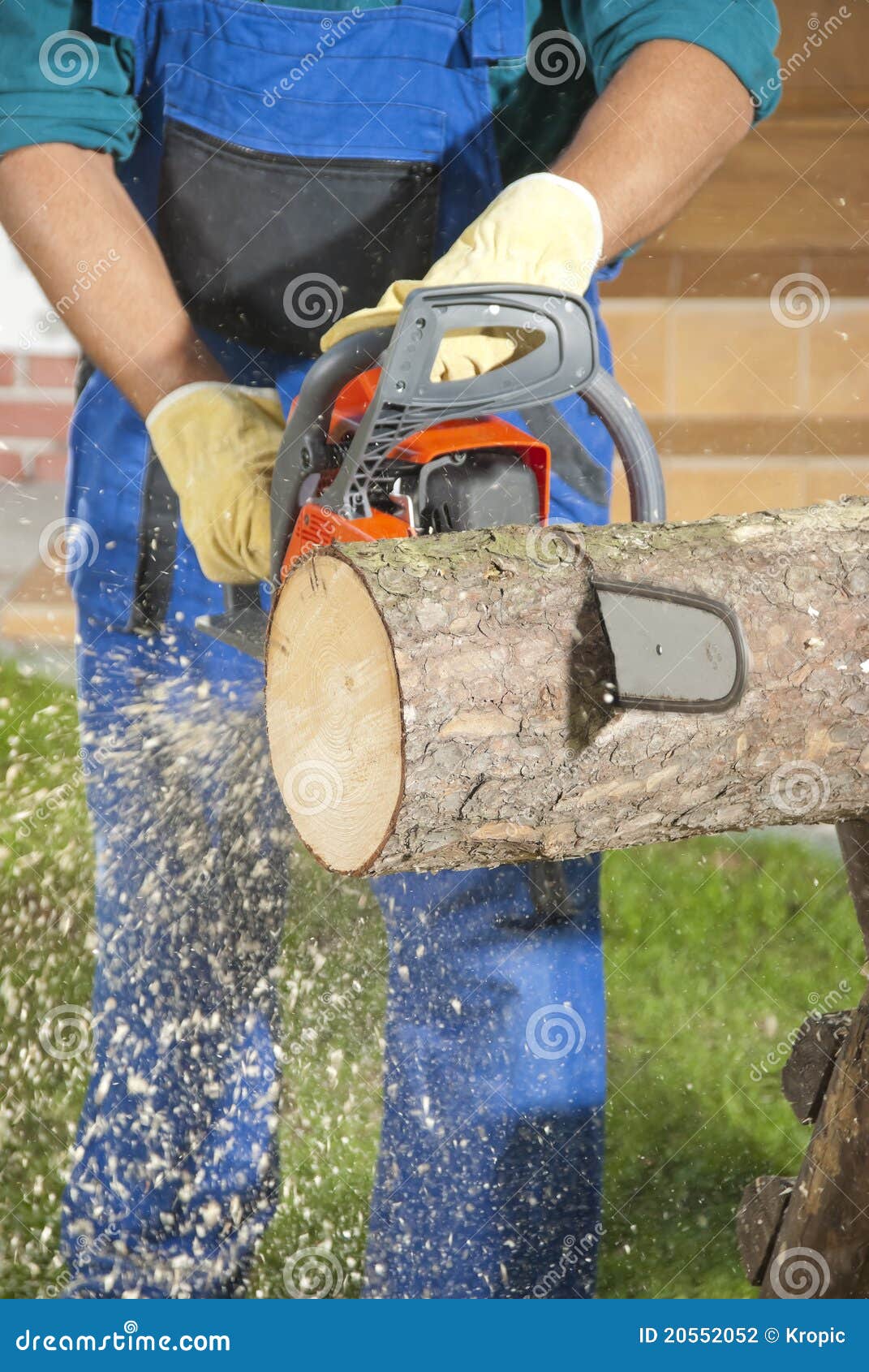 The lumberjack stock photo. Image of power, industry - 20552052