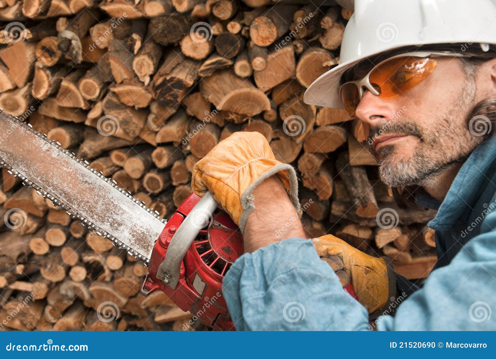 Lumberjack stock photo. Image of chainsaw, forestry, closeup - 21520690