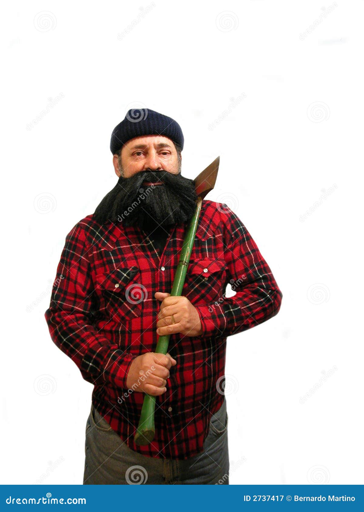Lumberjack stock image. Image of looking, black, knit - 2737417