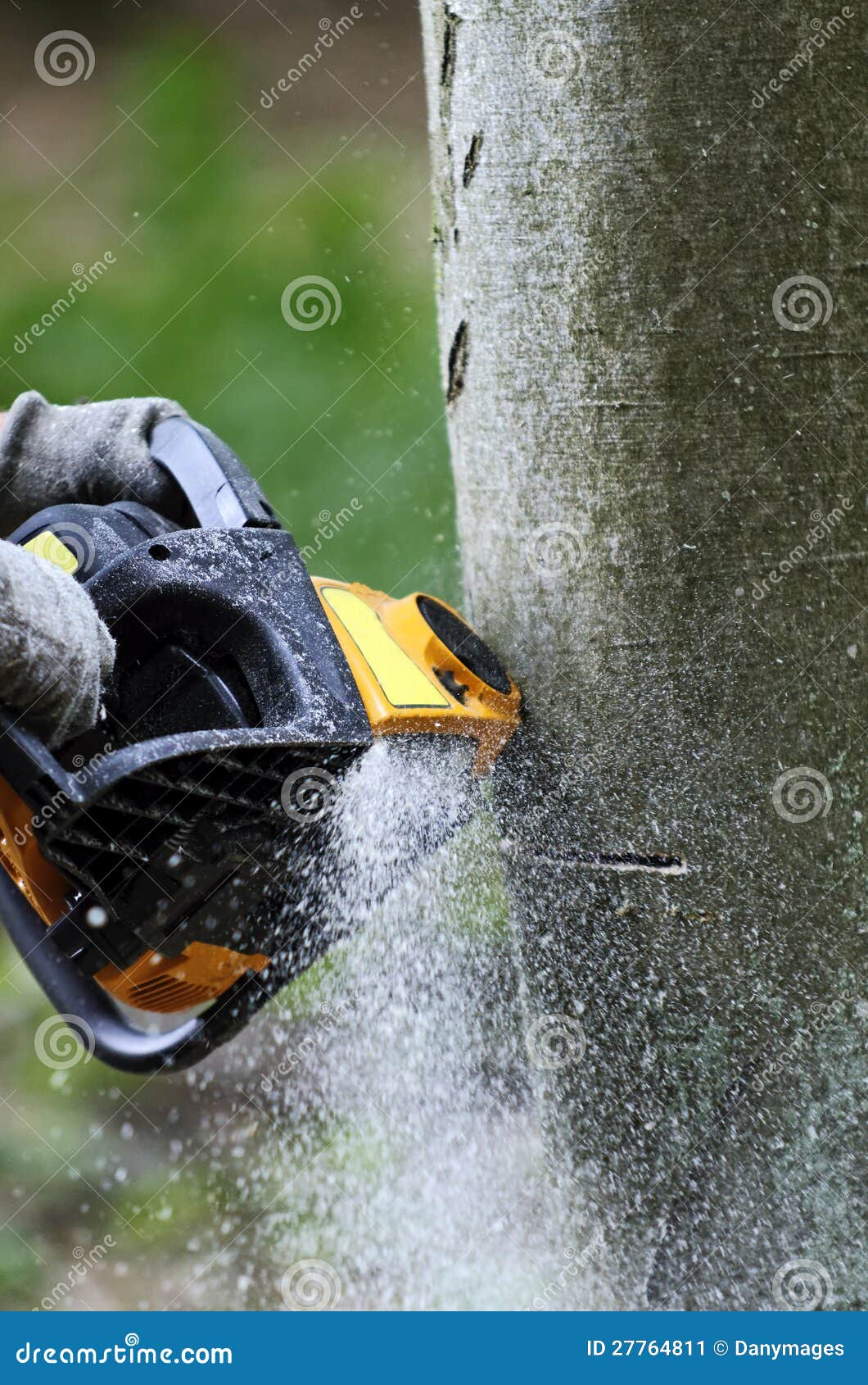 Lumberjack stock image. Image of sharp, tool, chainsaw - 27764811