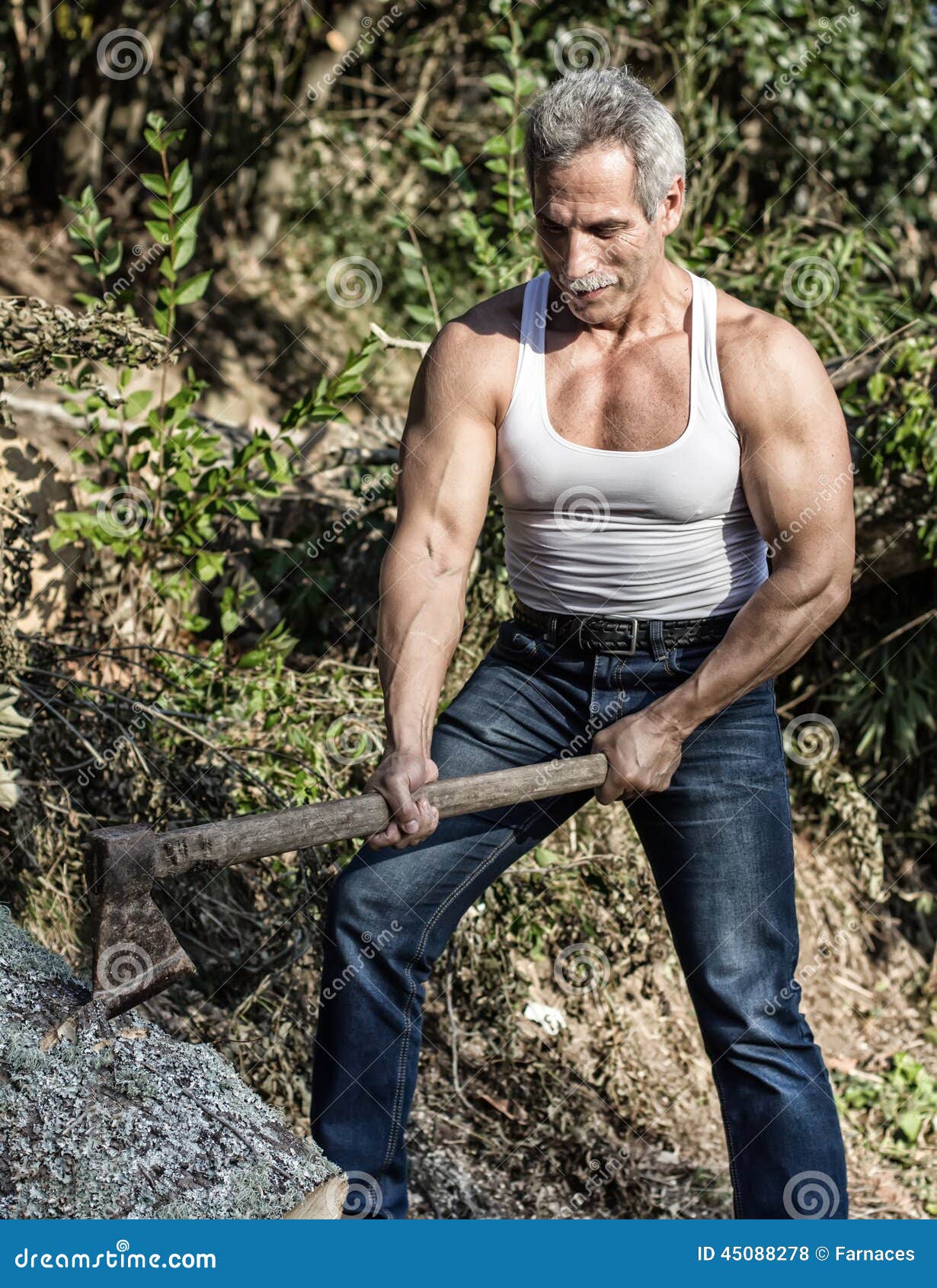 Lumberjack fotografia stock. Immagine di affascinante - 45088278