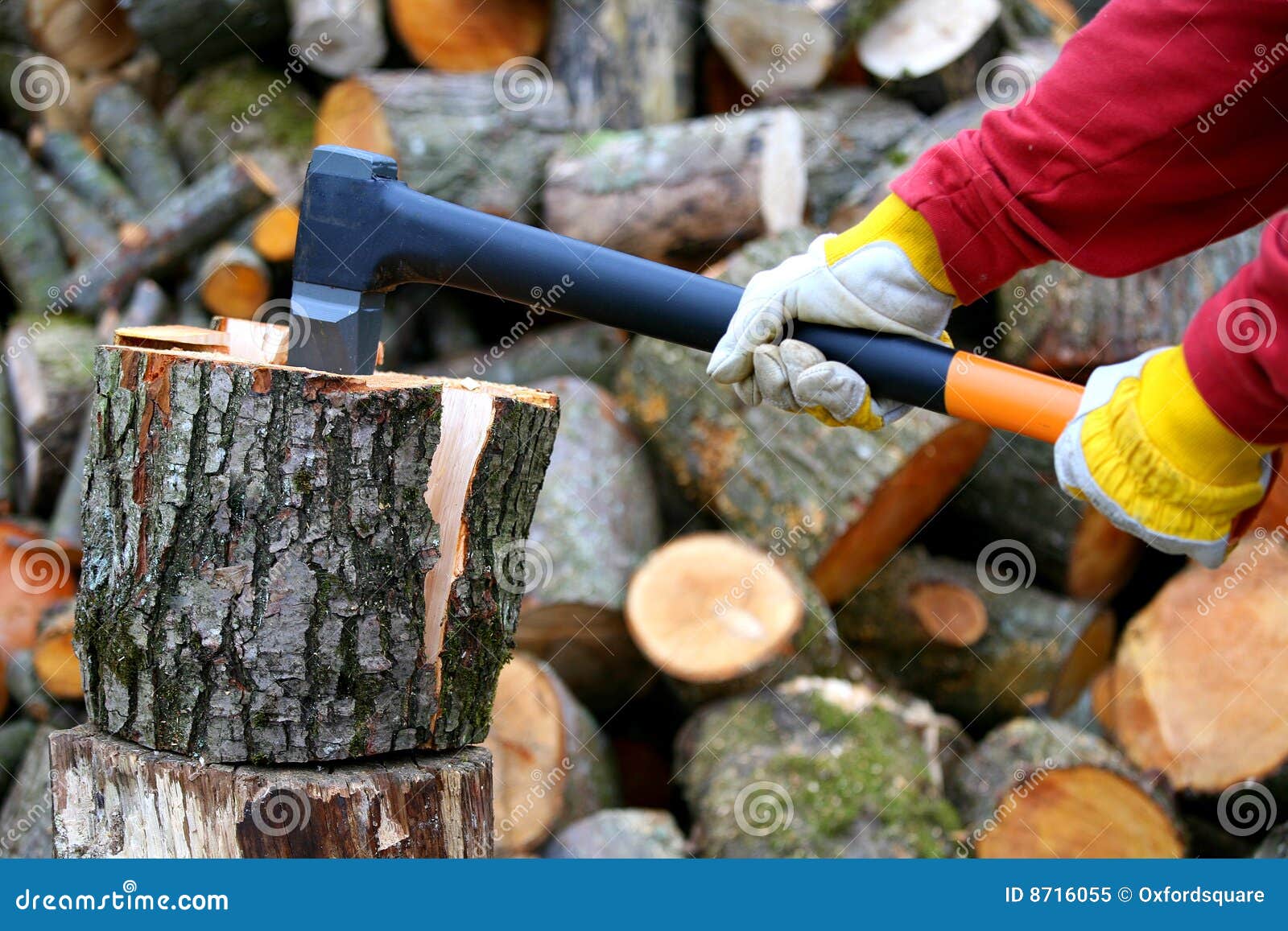 Lumberjack stock image. Image of glove, equipment, industry - 8716055