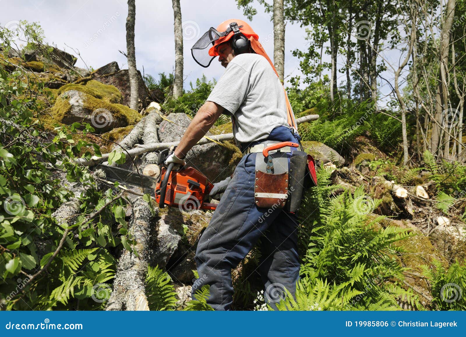 Lumberjack in action stock photo. Image of wood, forester - 19985806