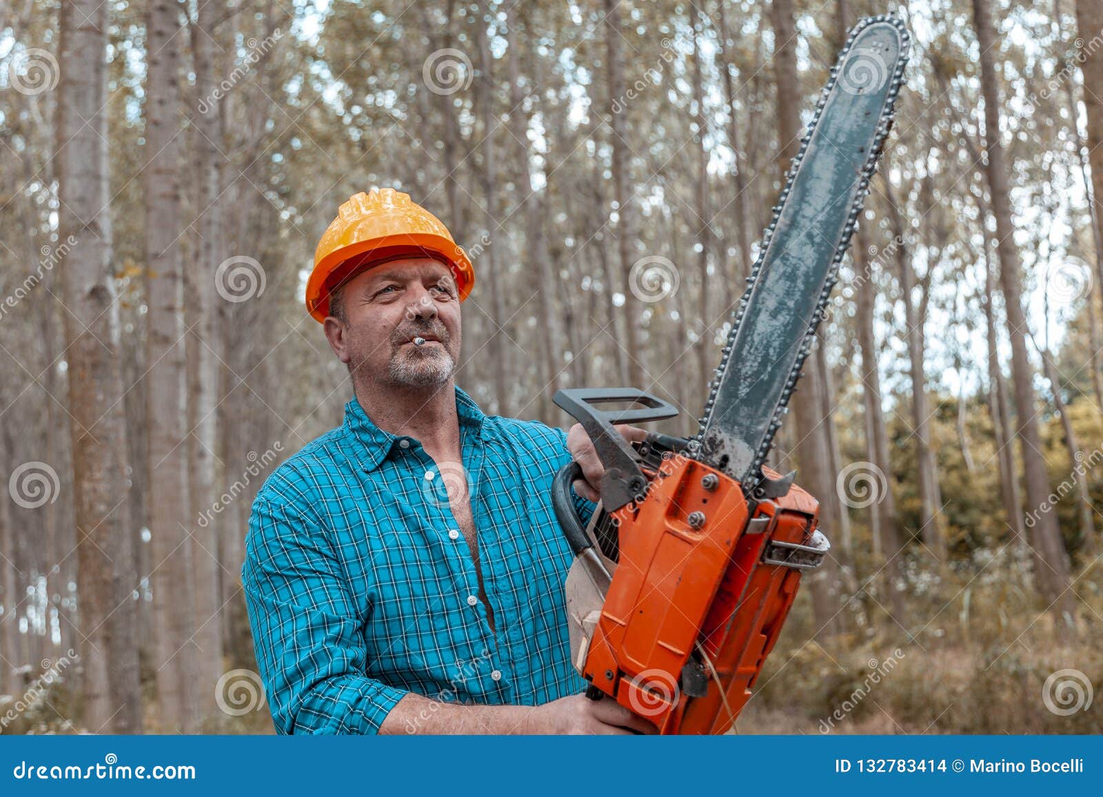 Lumberjack in Action at Work in a Forest Stock Photo - Image of blade ...