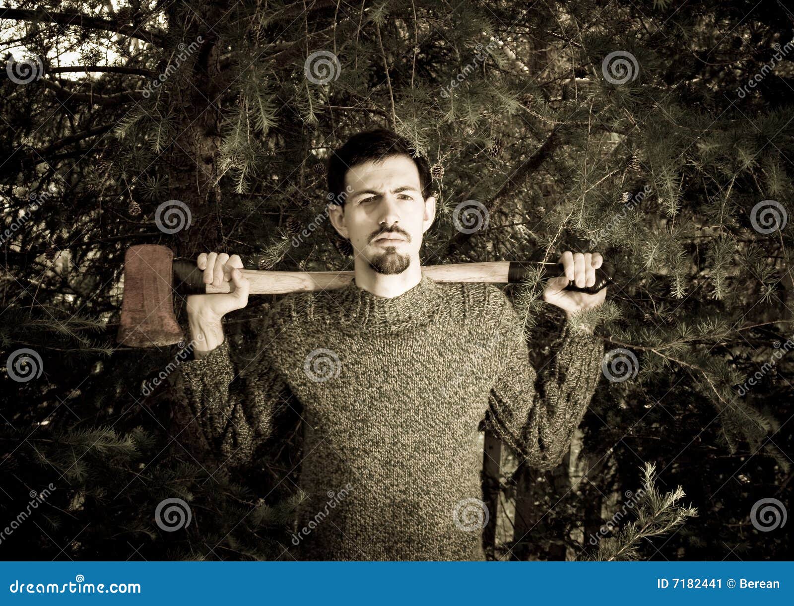 Lumberjack with ax. stock image. Image of logging, natural - 7182441