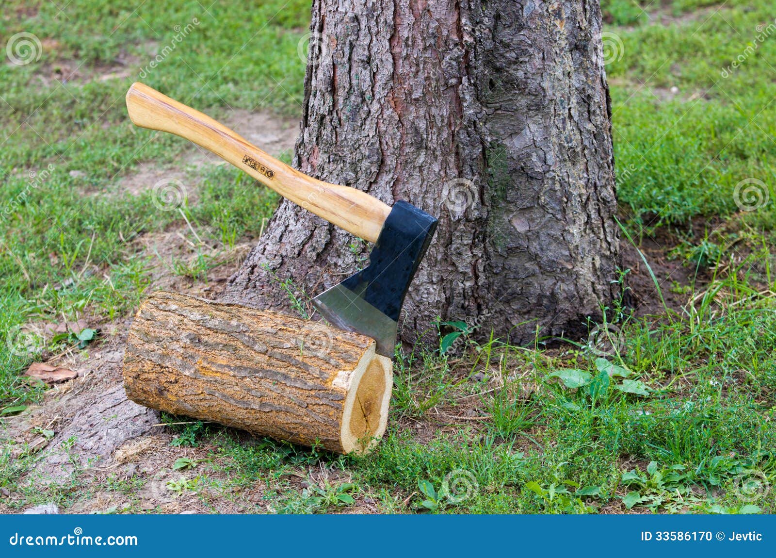 Lumberjack stock photo. Image of hatchet, sawdust, household - 33586170