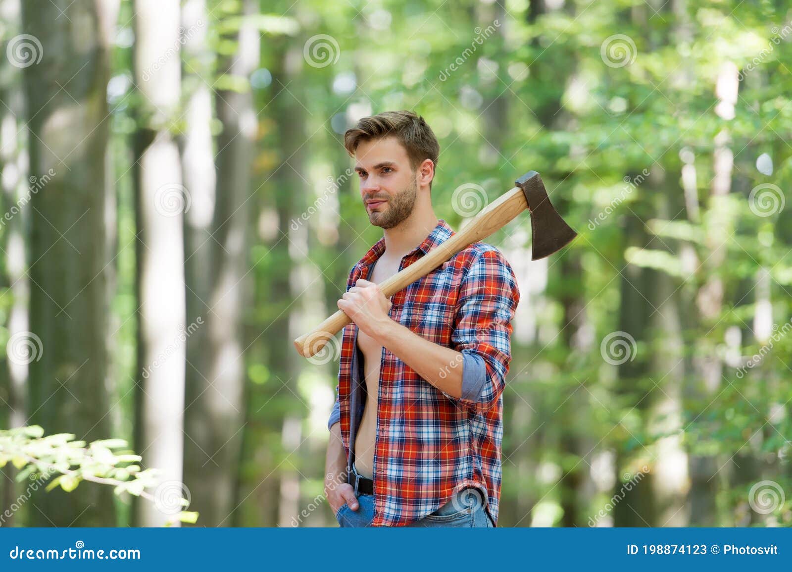Lumberjack Carry Ax for Cutting Tree, Nature Stock Image - Image of ...