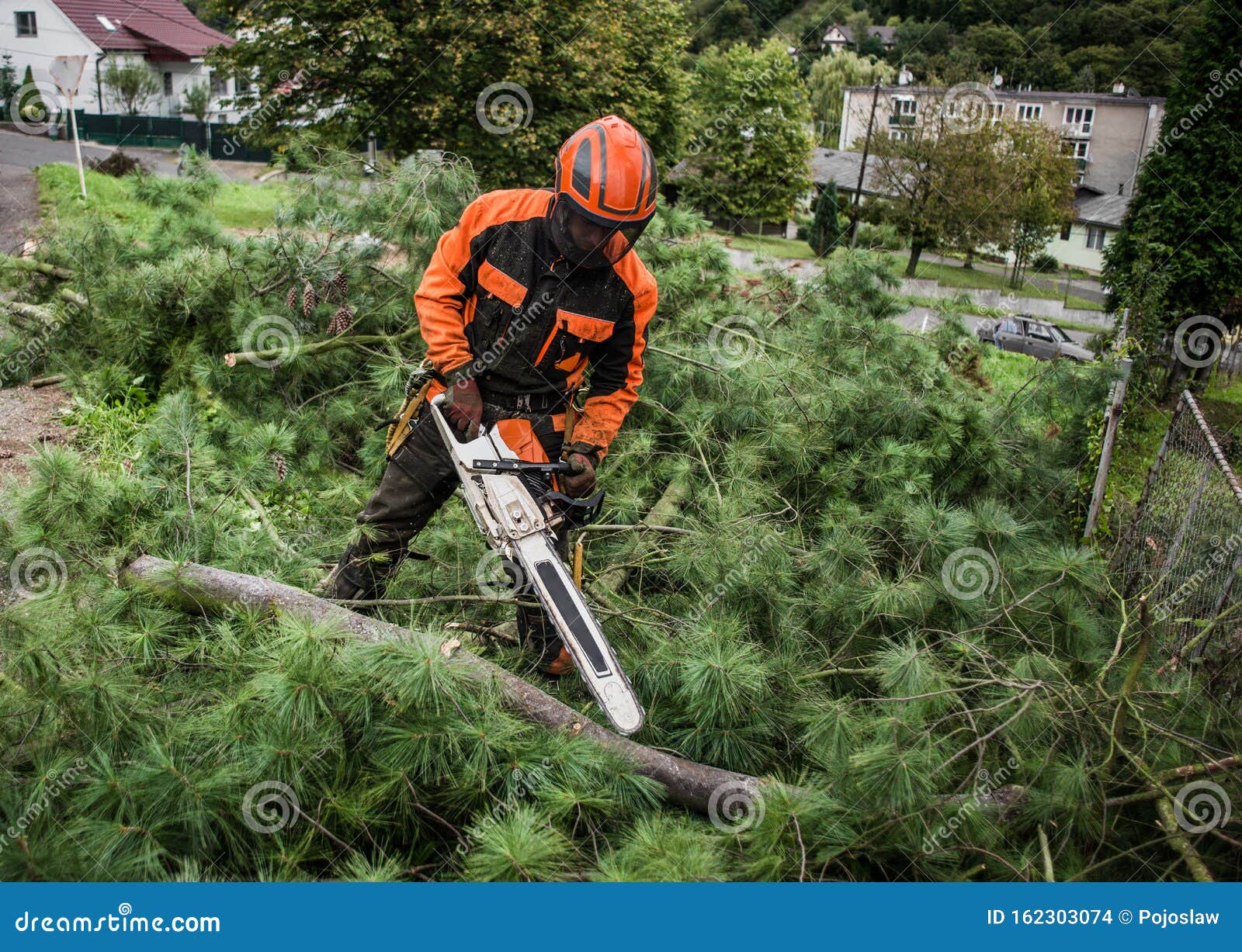 Lumberjack with Chainsaw Cutting a Tree in Town. Stock Photo - Image of ...