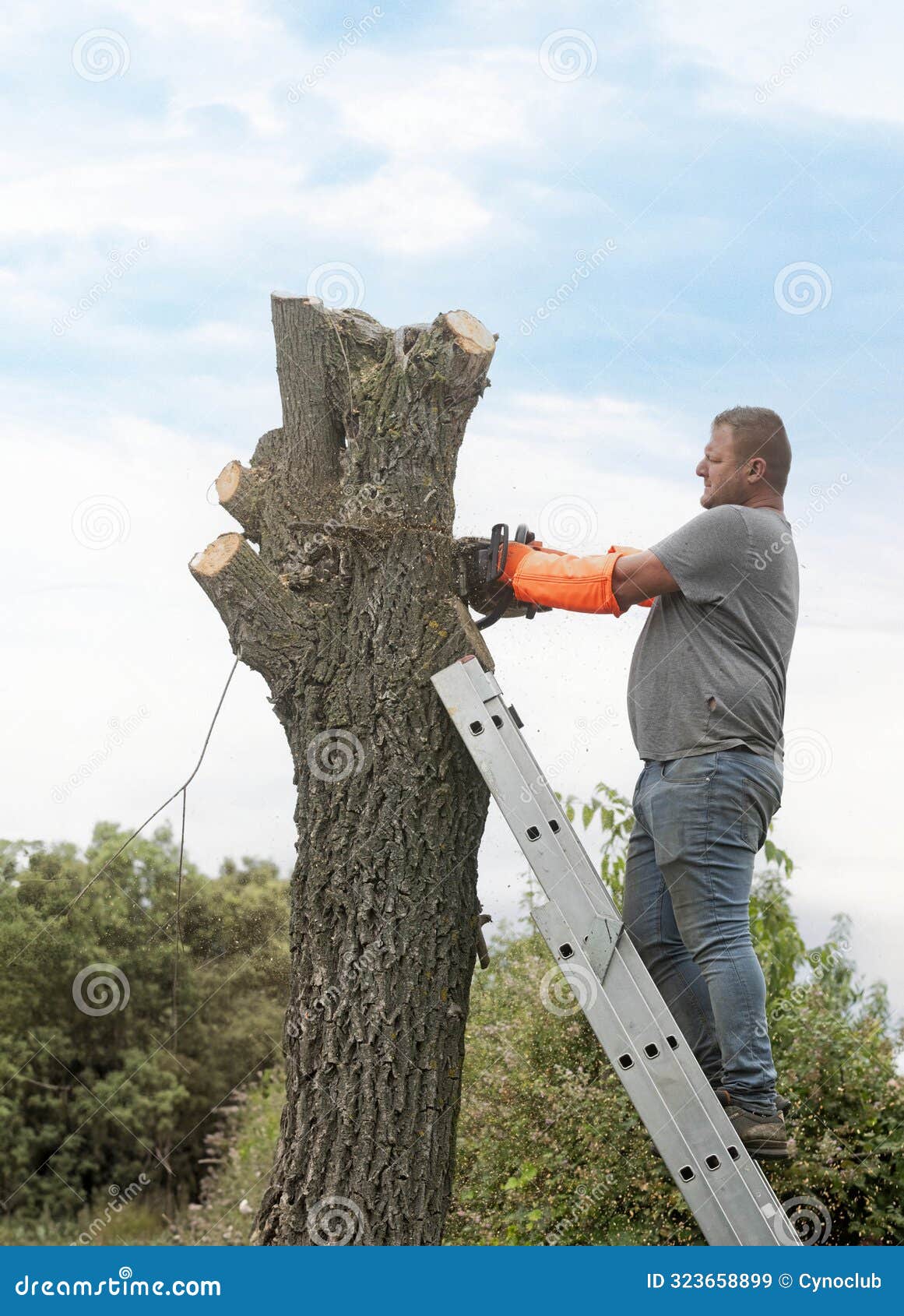 Lumberjack and chainsaw stock image. Image of lumberjack - 323658899