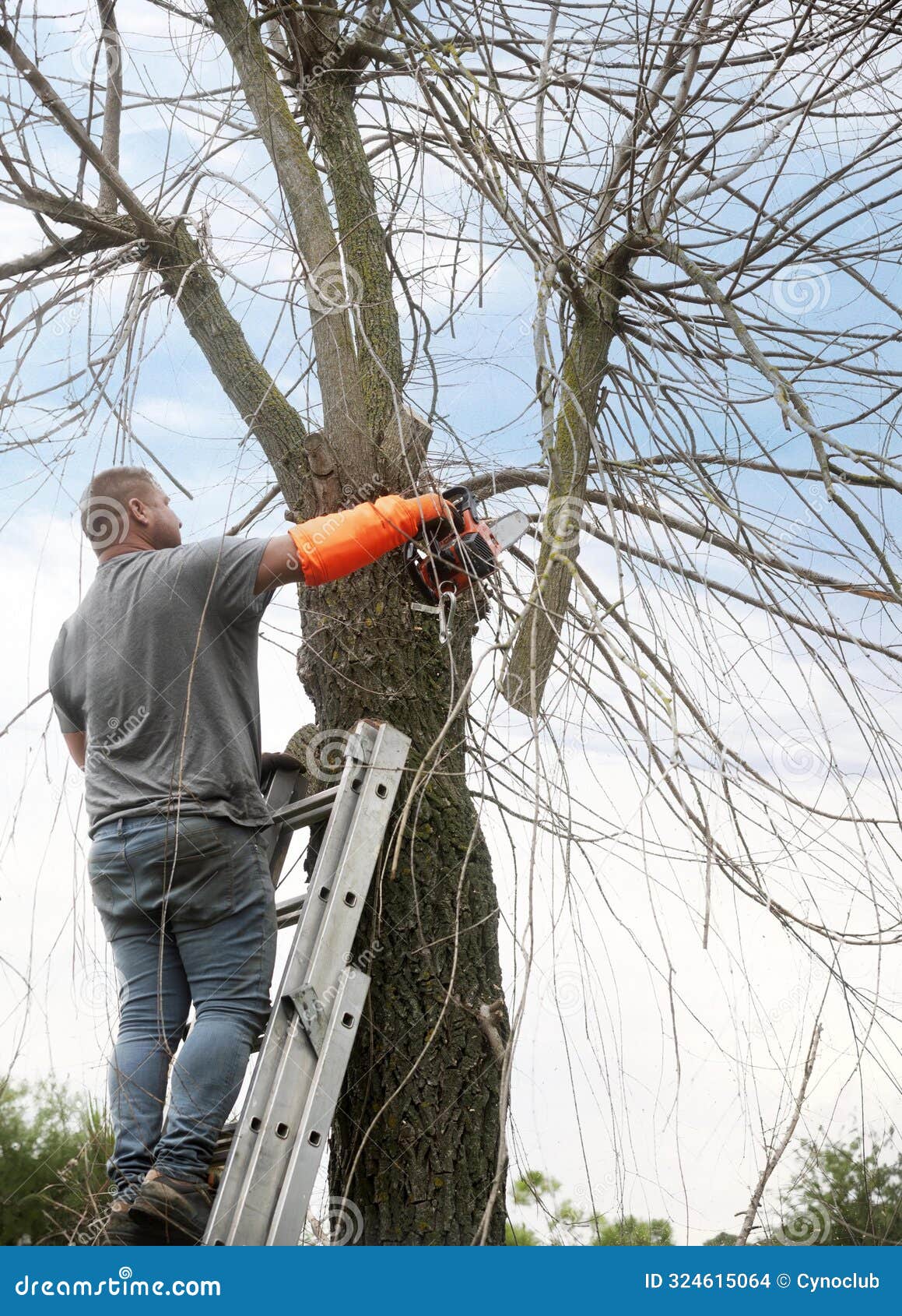 Lumberjack and chainsaw stock photo. Image of equipment - 324615064
