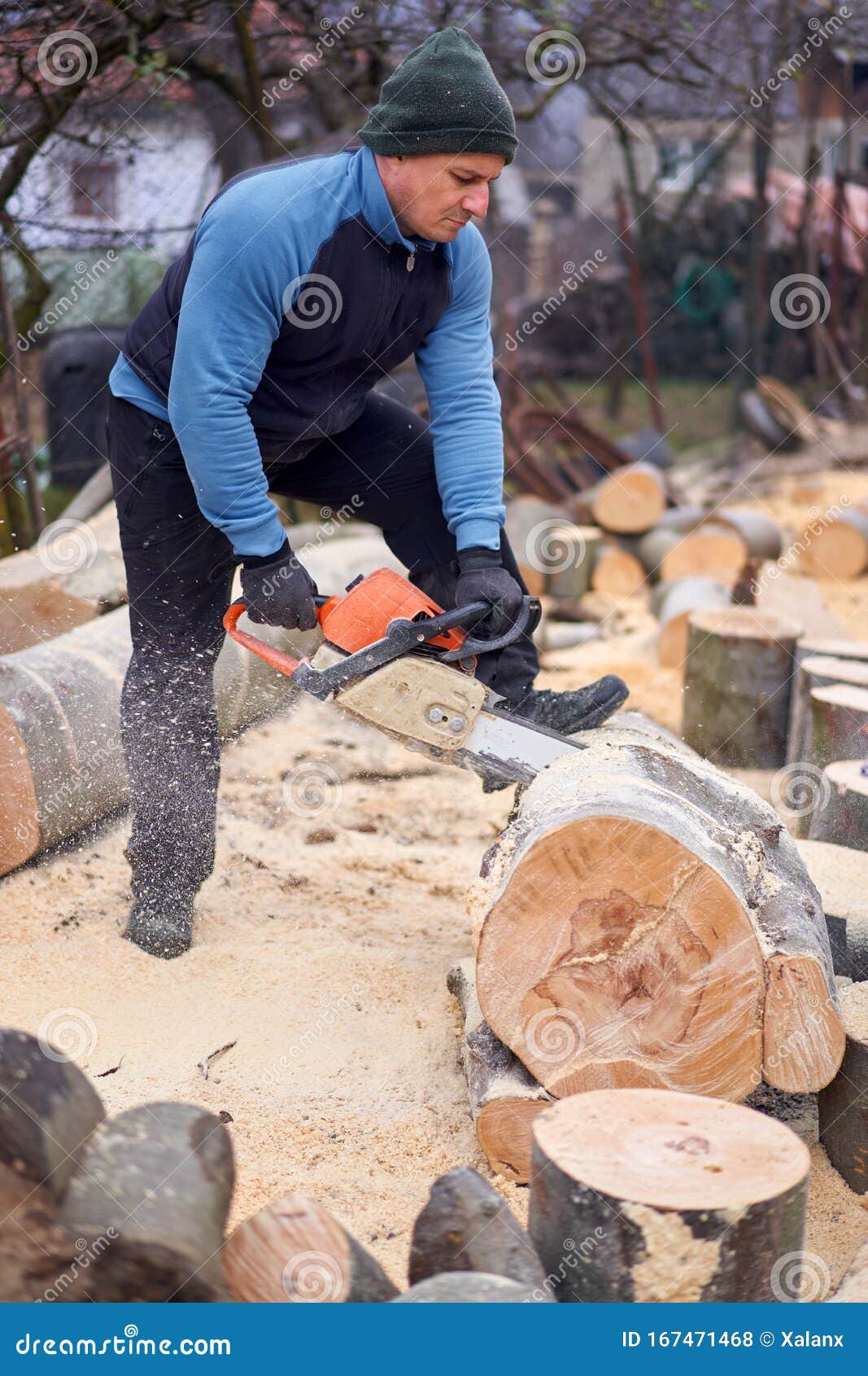 Lumberjack with Chainsaw at Work Stock Photo - Image of hard, farmer ...