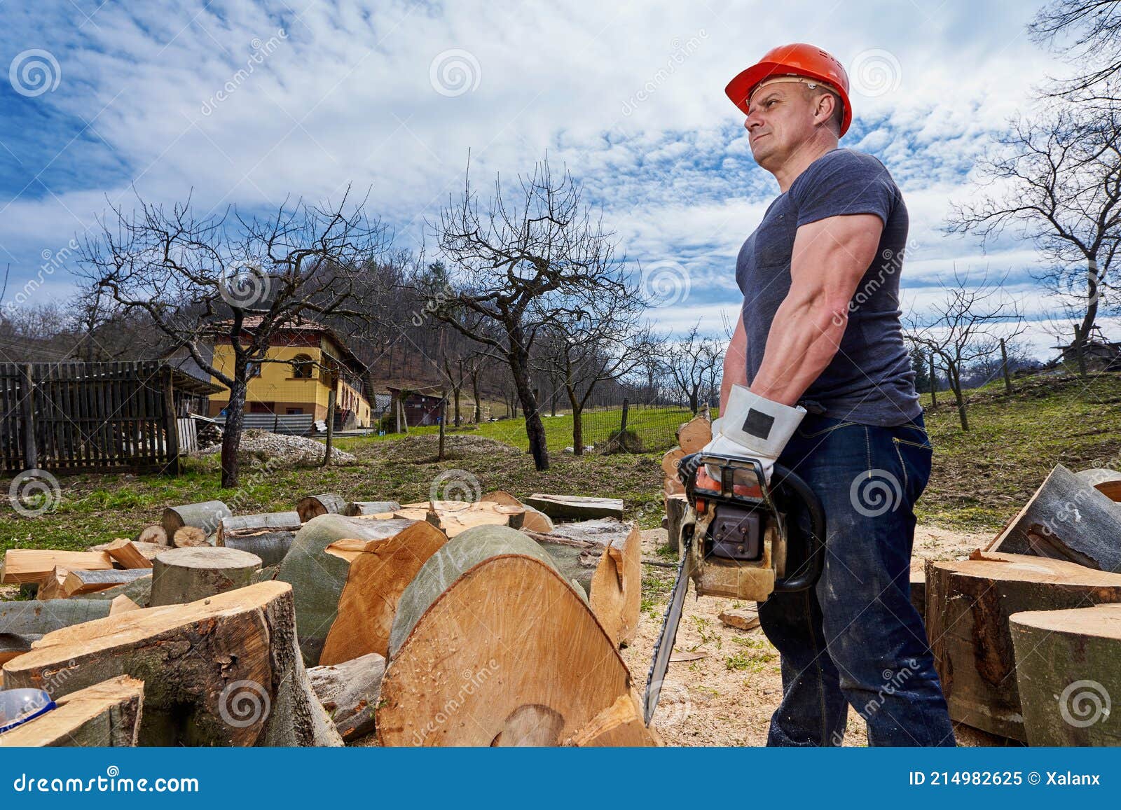 Lumberjack with Chainsaw Working Stock Image - Image of male ...