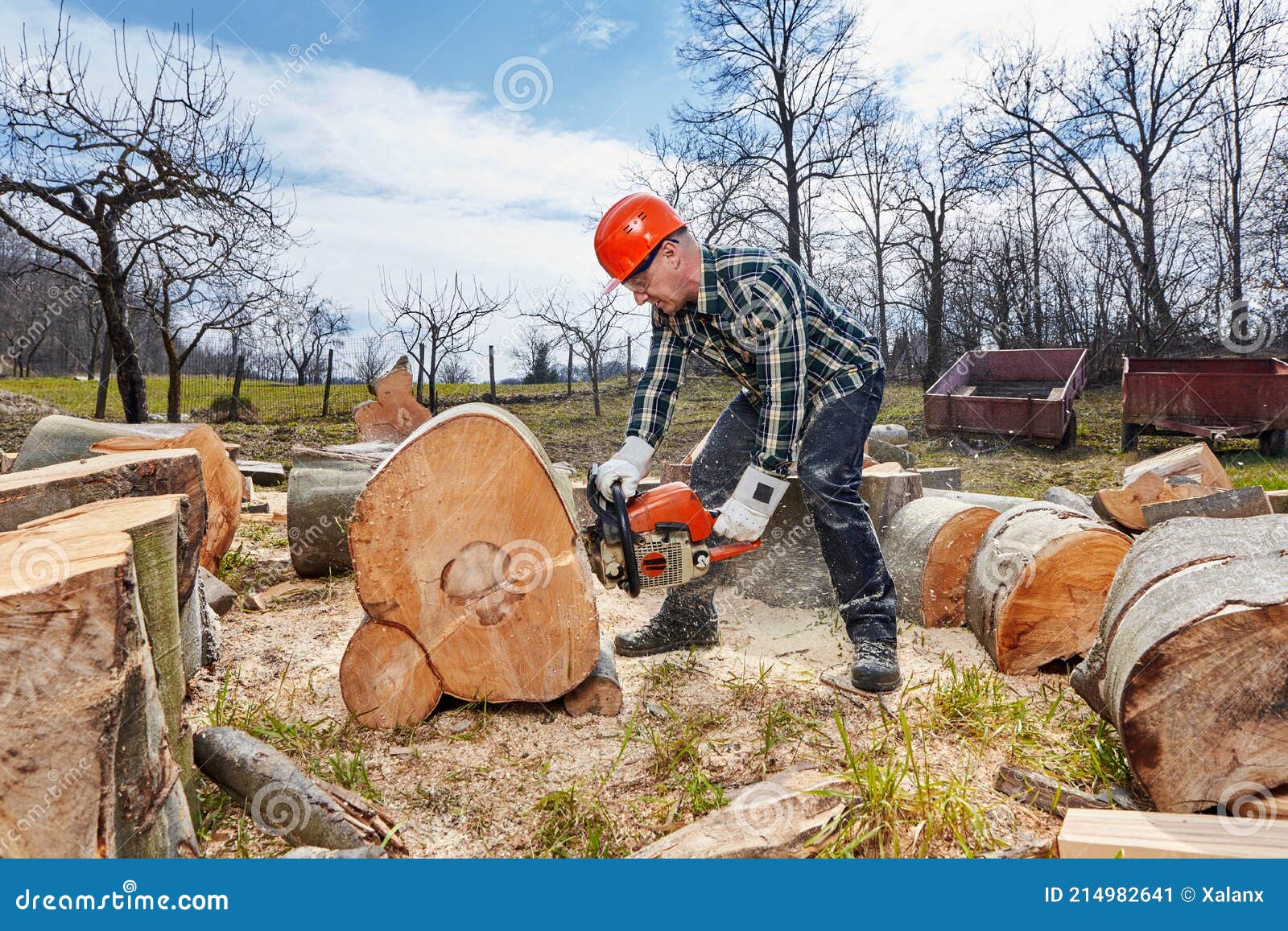 Lumberjack with Chainsaw Working Stock Image - Image of lumbering, male ...