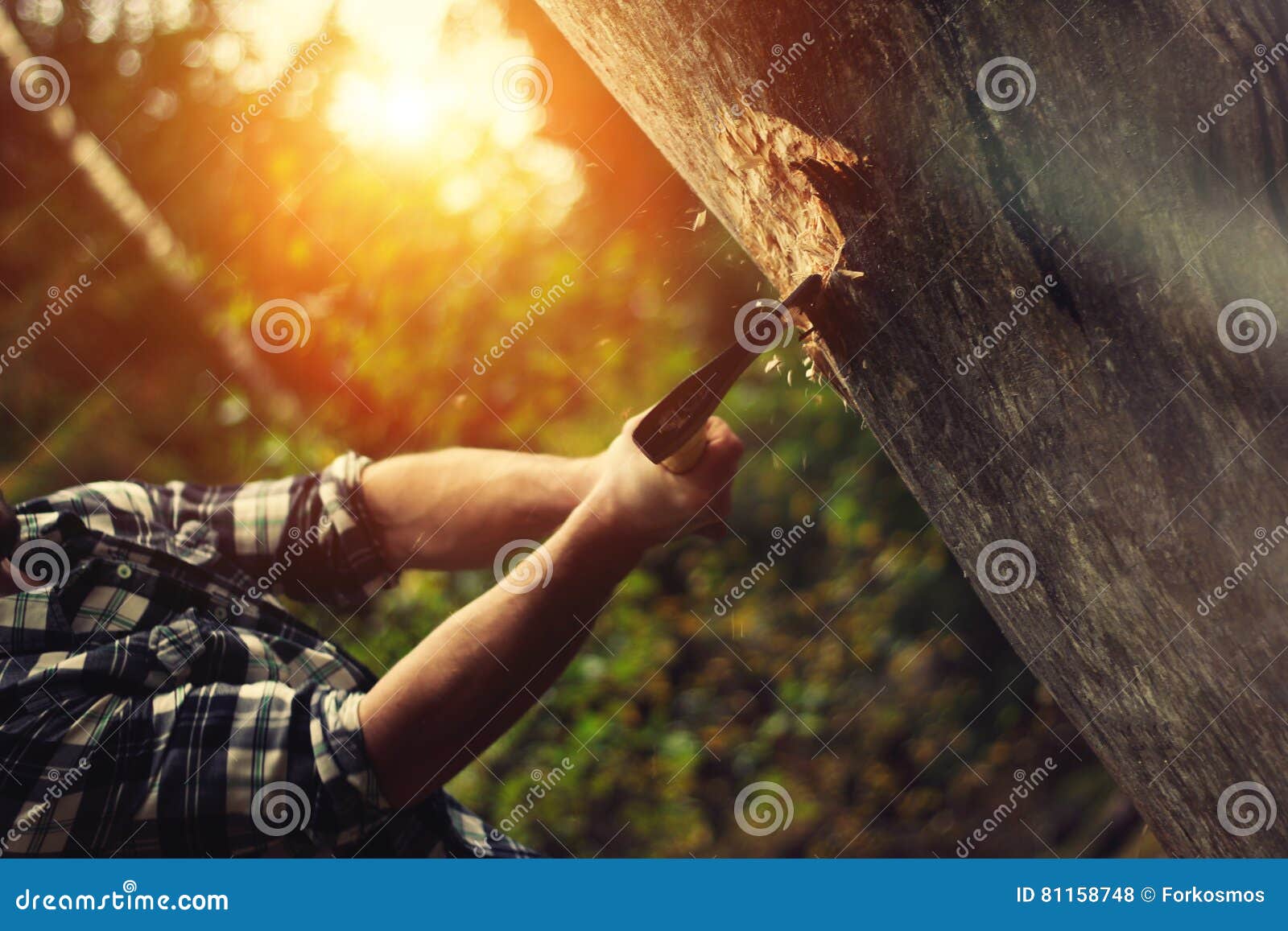 Lumberjack Chopping a Tree Trunk in the Forest Stock Photo - Image of ...
