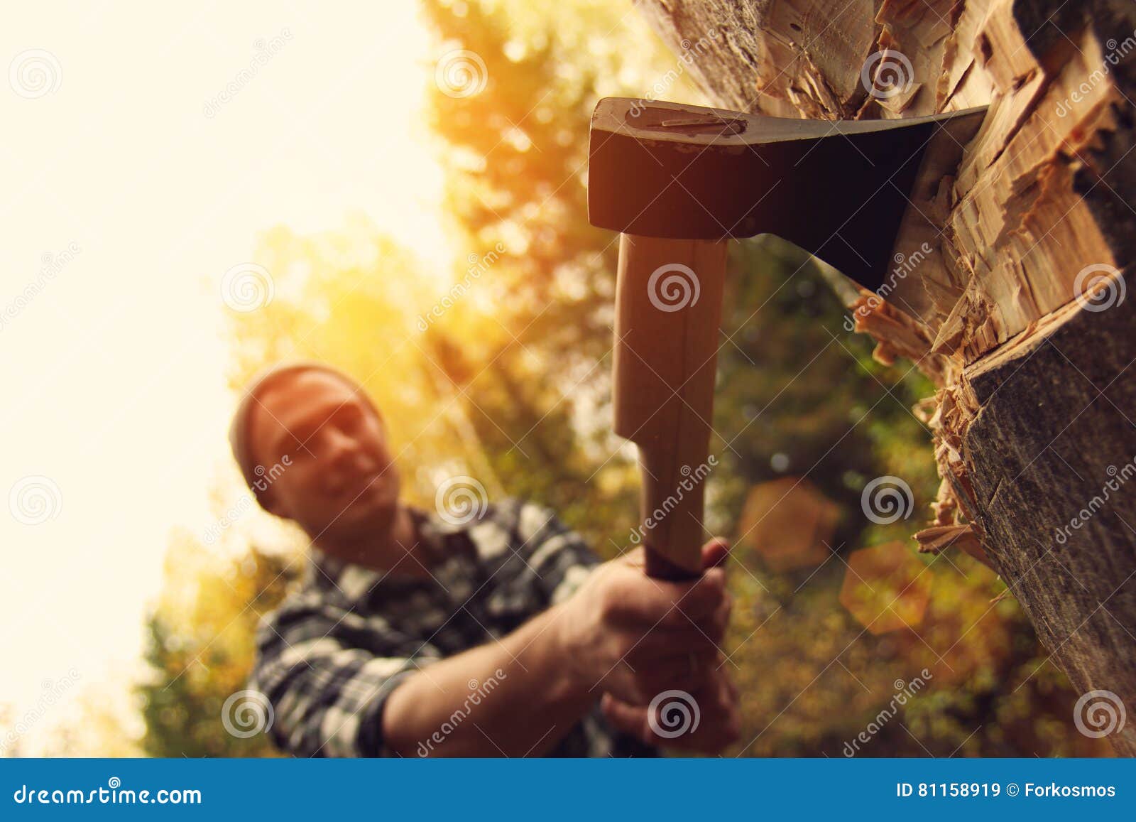 Lumberjack Chopping Wood in the Forest Stock Image - Image of power ...