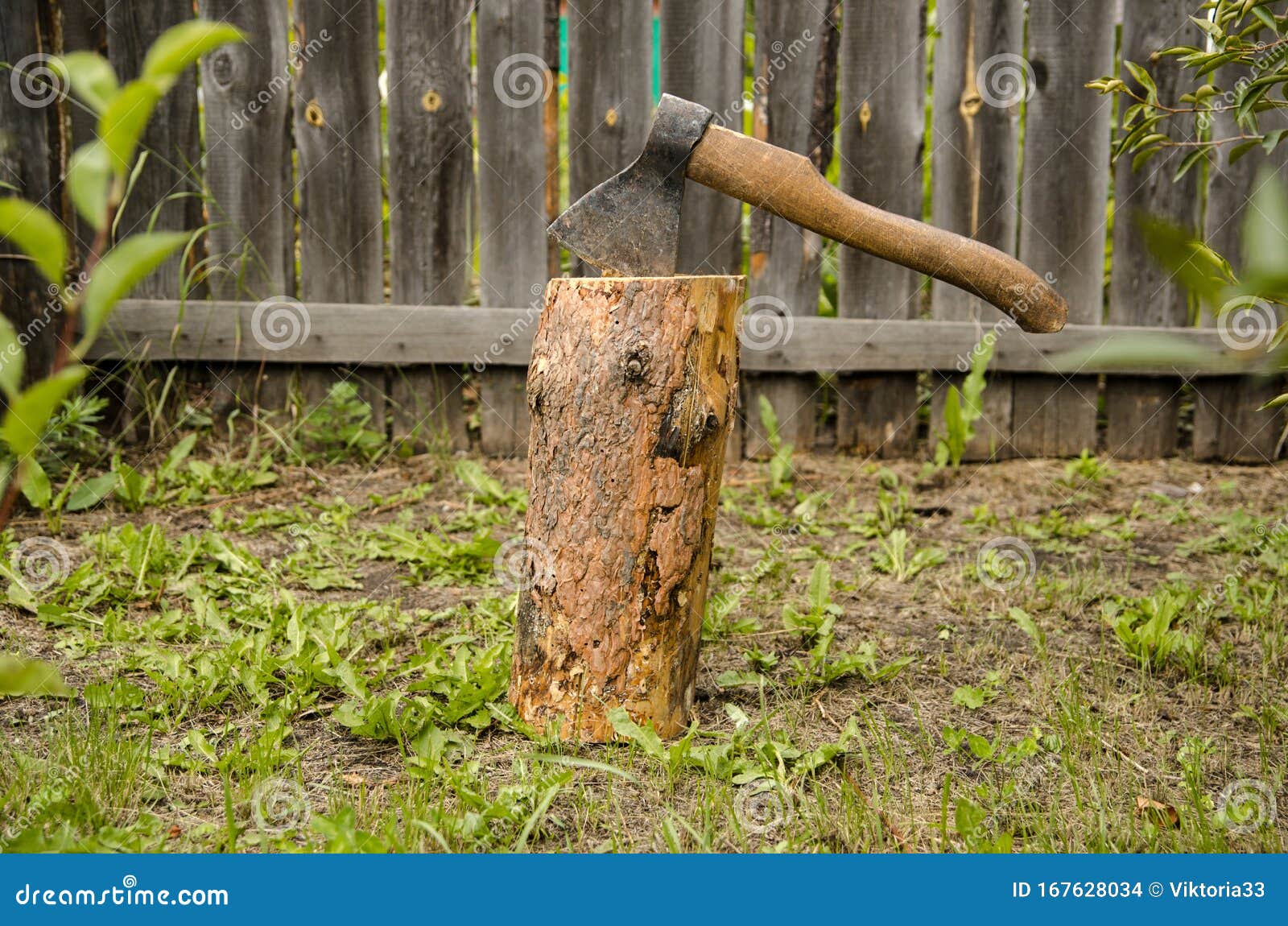 Lumberjack Chopping Wood. Young Man Chopping Woods with an Axe Stock ...