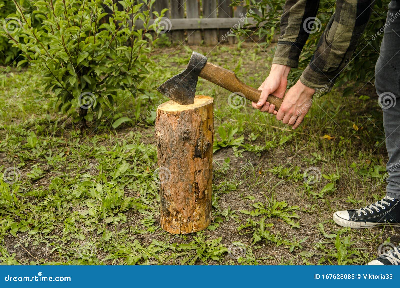 Lumberjack Chopping Wood. Young Man Chopping Woods with an Axe Stock ...