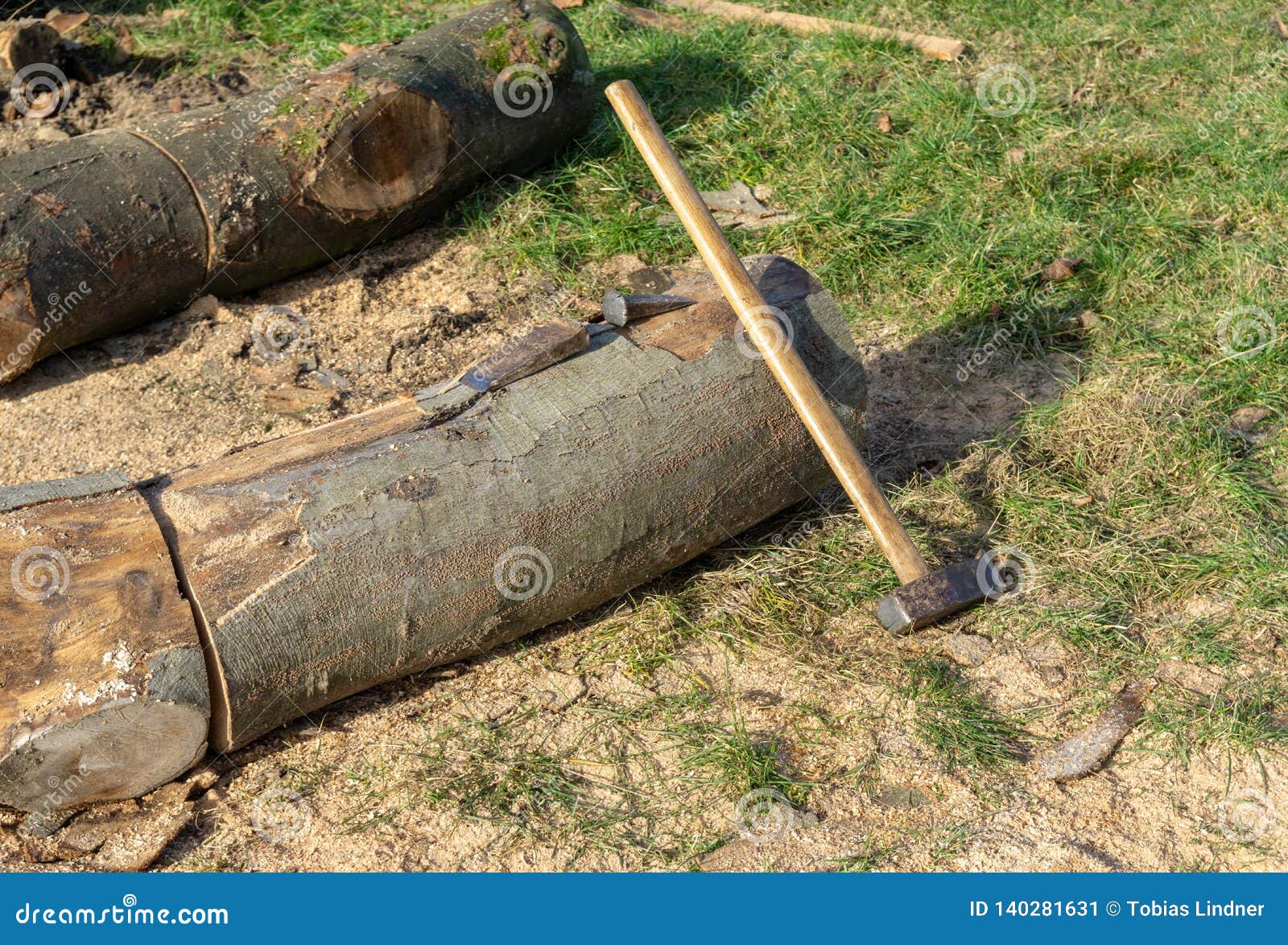 Lumberjack Chops or Cuts Tree-trunk with Axe and Wedge Stock Image ...