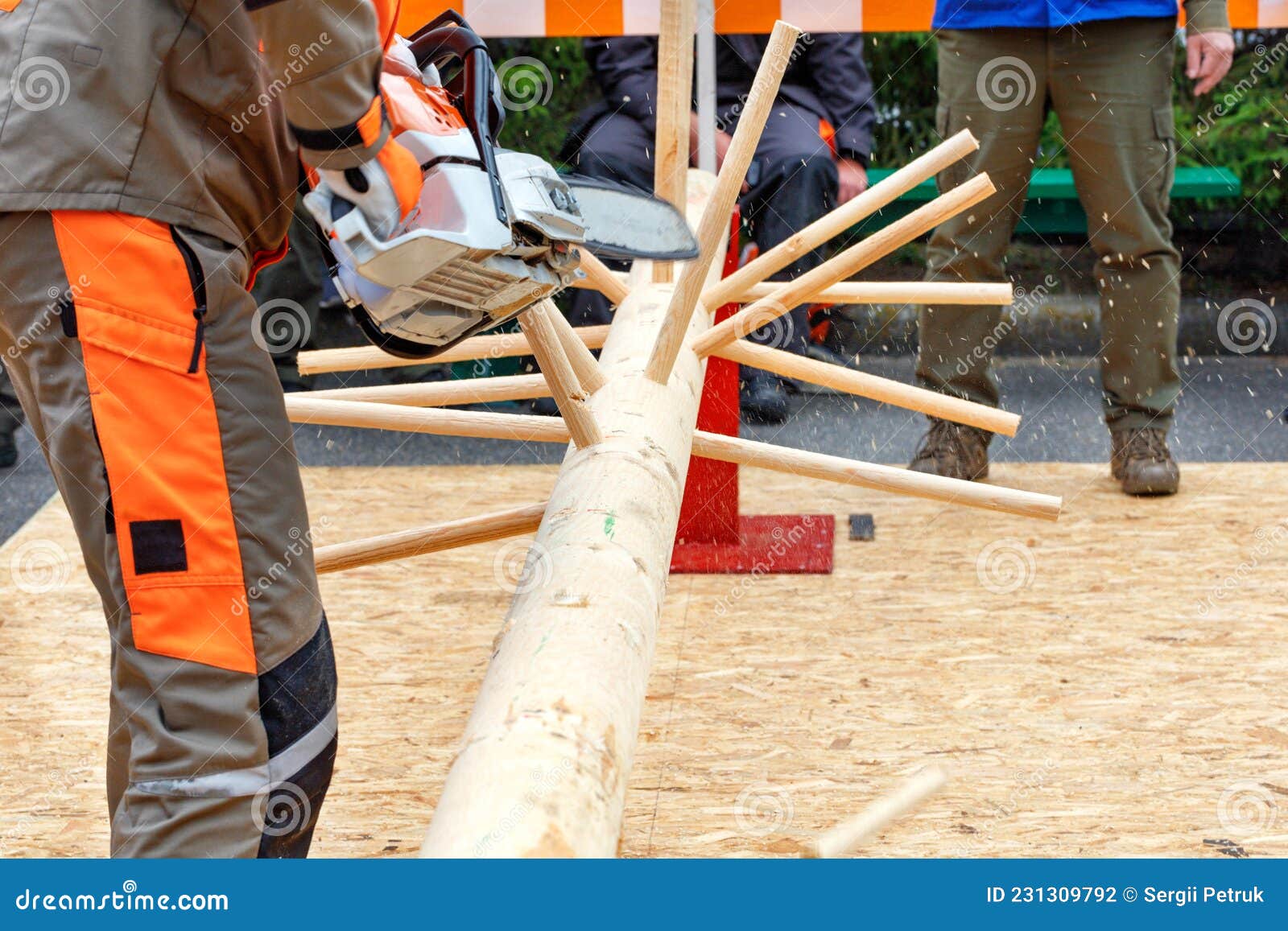 Lumberjack Competition, a Worker Dexterously Demonstrates the Ability ...