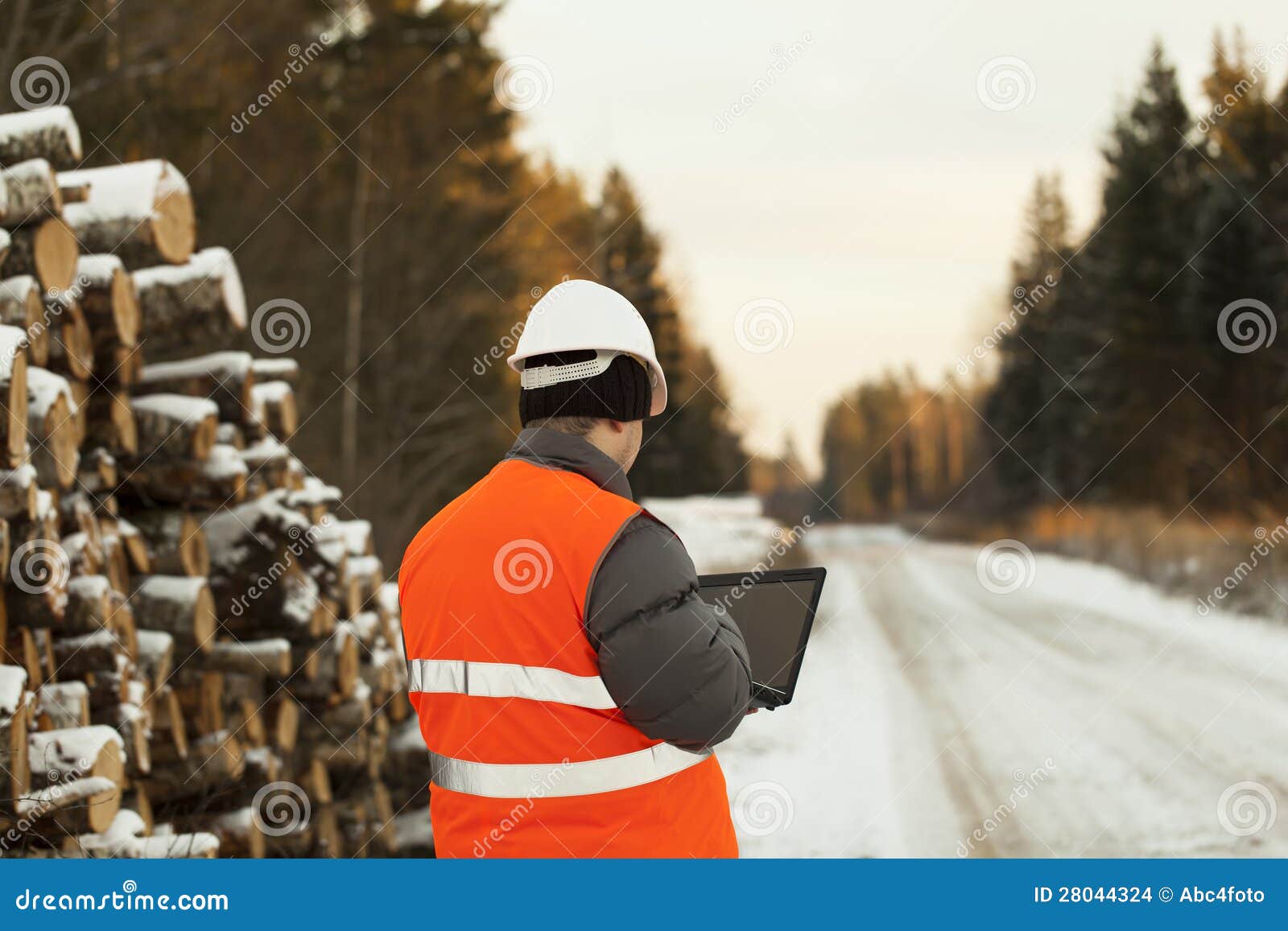 Lumberjack with the Computer Stock Photo - Image of dangerous, employee ...