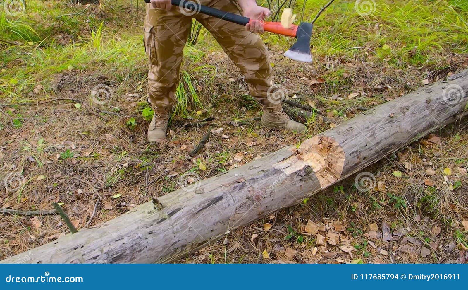 Lumberjack Cutting the Tree with Axe in the Forest Stock Footage ...