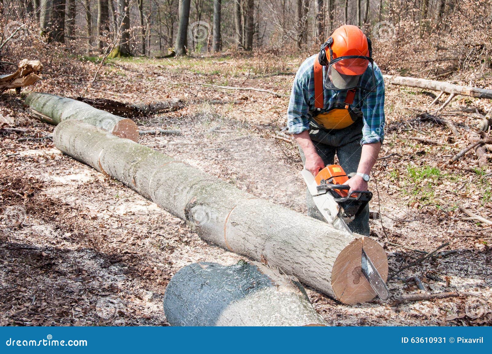 Lumberjack cutting tree stock image. Image of pine, tree - 63610931